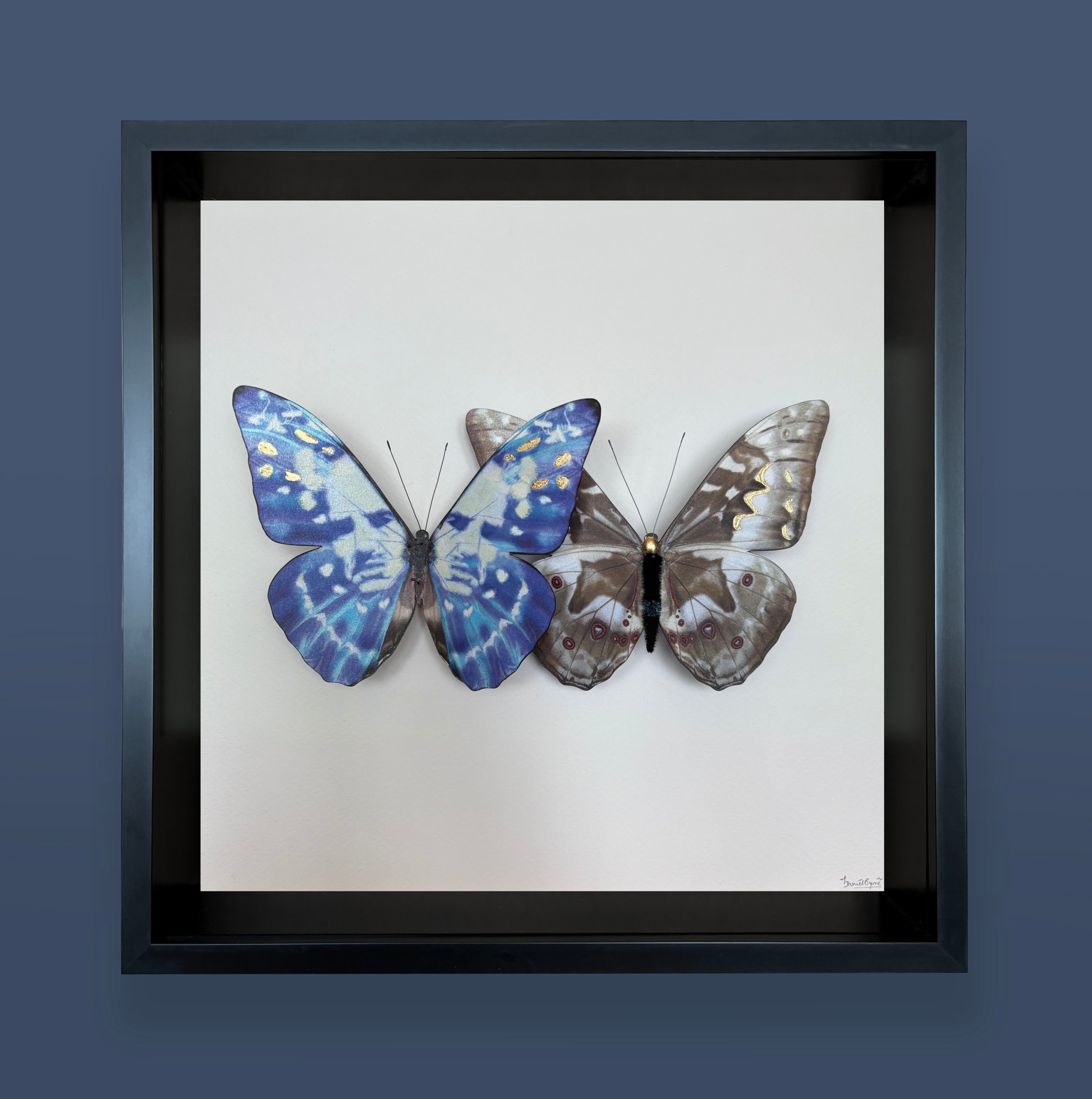 Daniel Byrne, The Godfather (Morpho Cypris), 2025 | Dalloz Contemporary