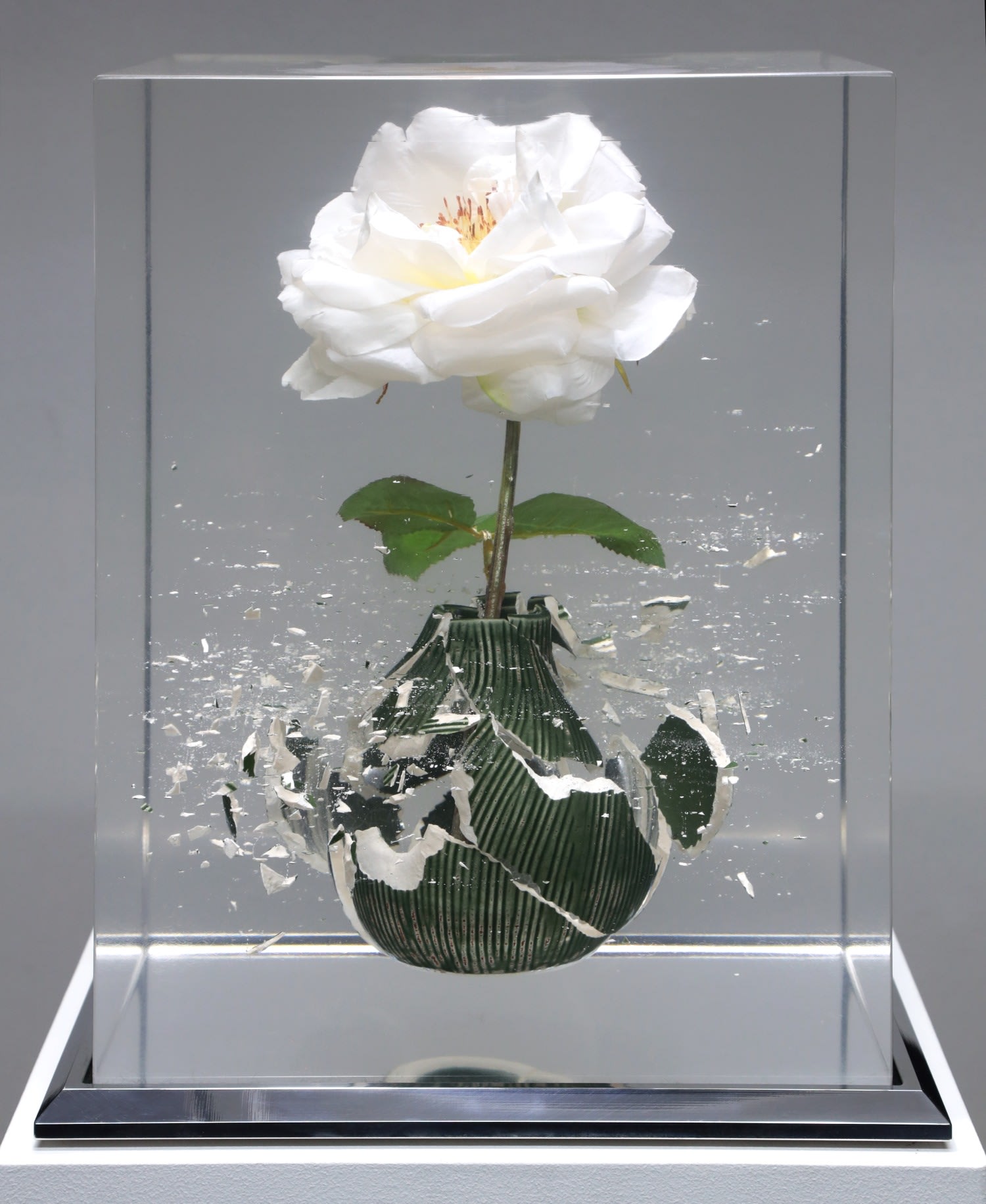 Tom Martin, The Time is Now XXV | Plus One Gallery