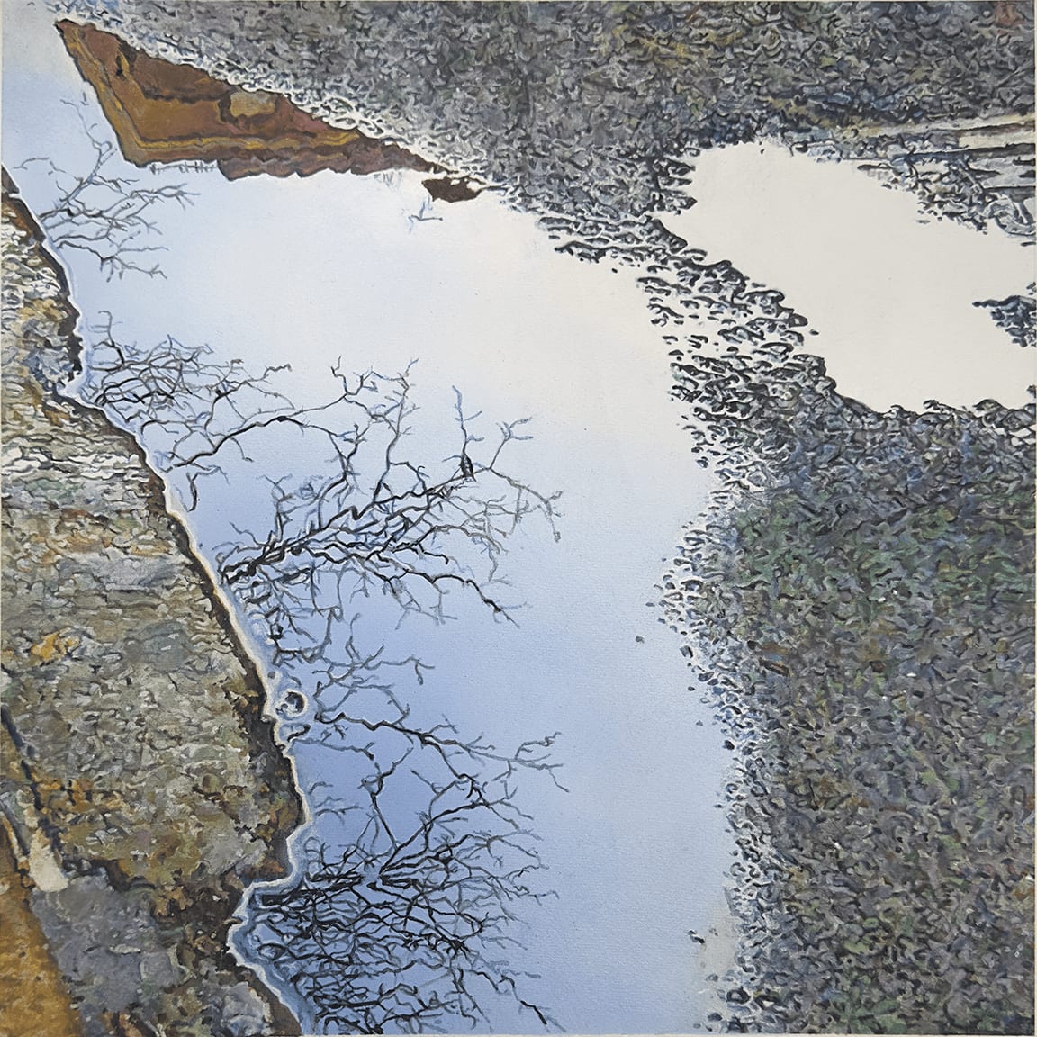 James Van Patten, Surpise | Plus One Gallery