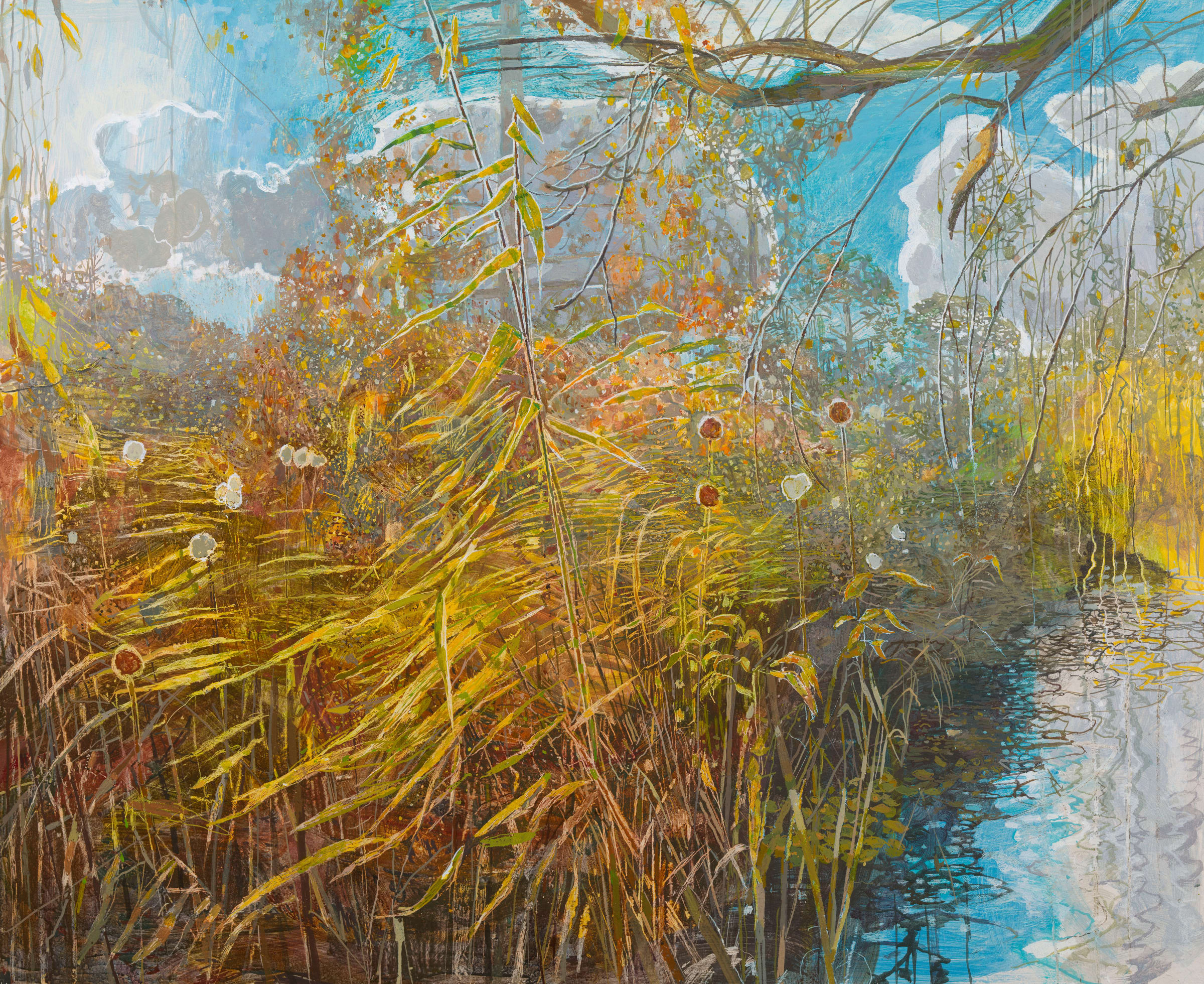 Ruth Stage, Moving Light, Richmond Park, 2024 | Portland Gallery