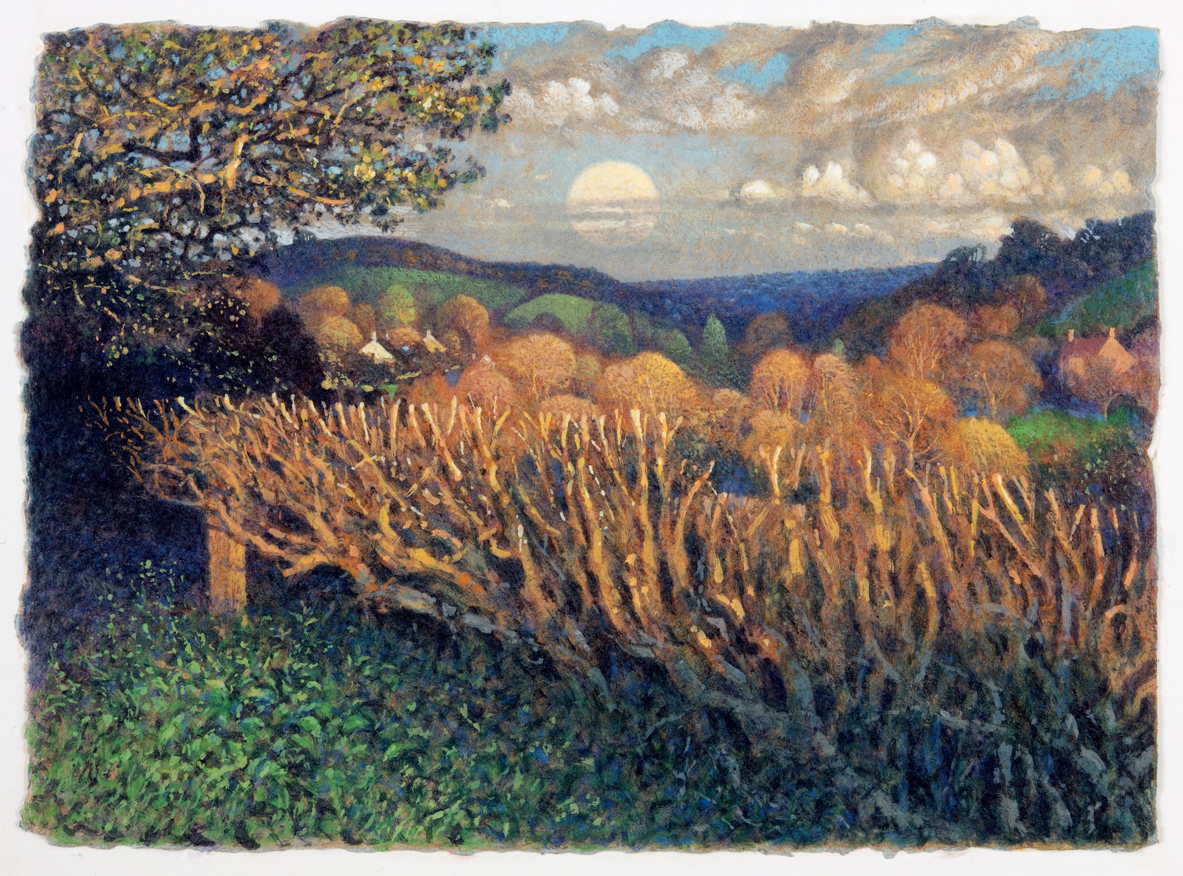 James Lynch, The Trimmed Hedge. West Milton, 2024 | Portland Gallery