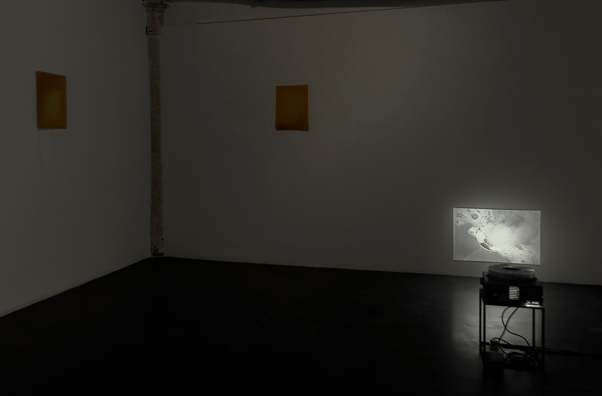 Prajakta Potnis, The Floating Island & Toxic Drawing, 2019-20 | Project 88