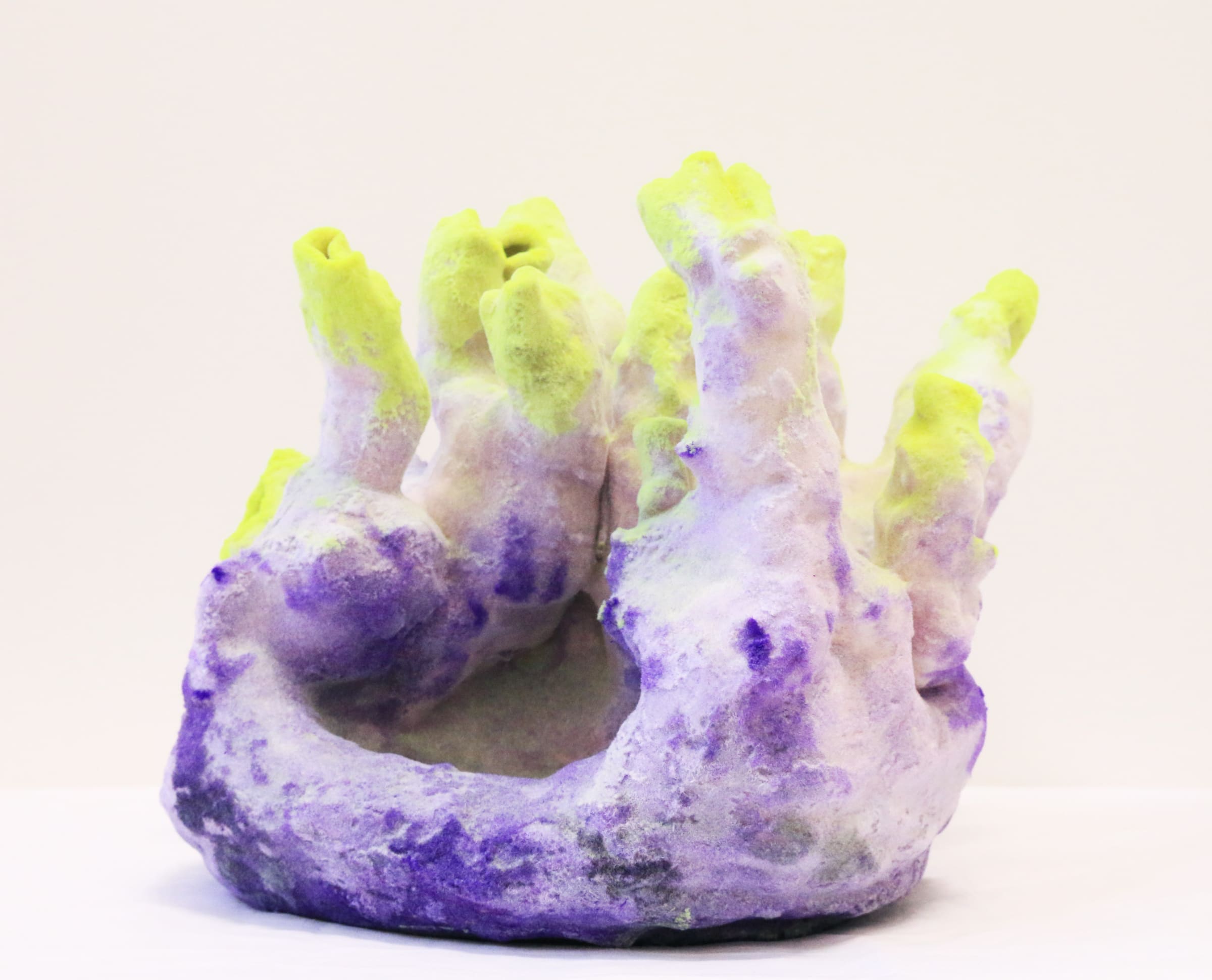 Pedro Matias, Stylasteridae Callicle | Rademakers Gallery