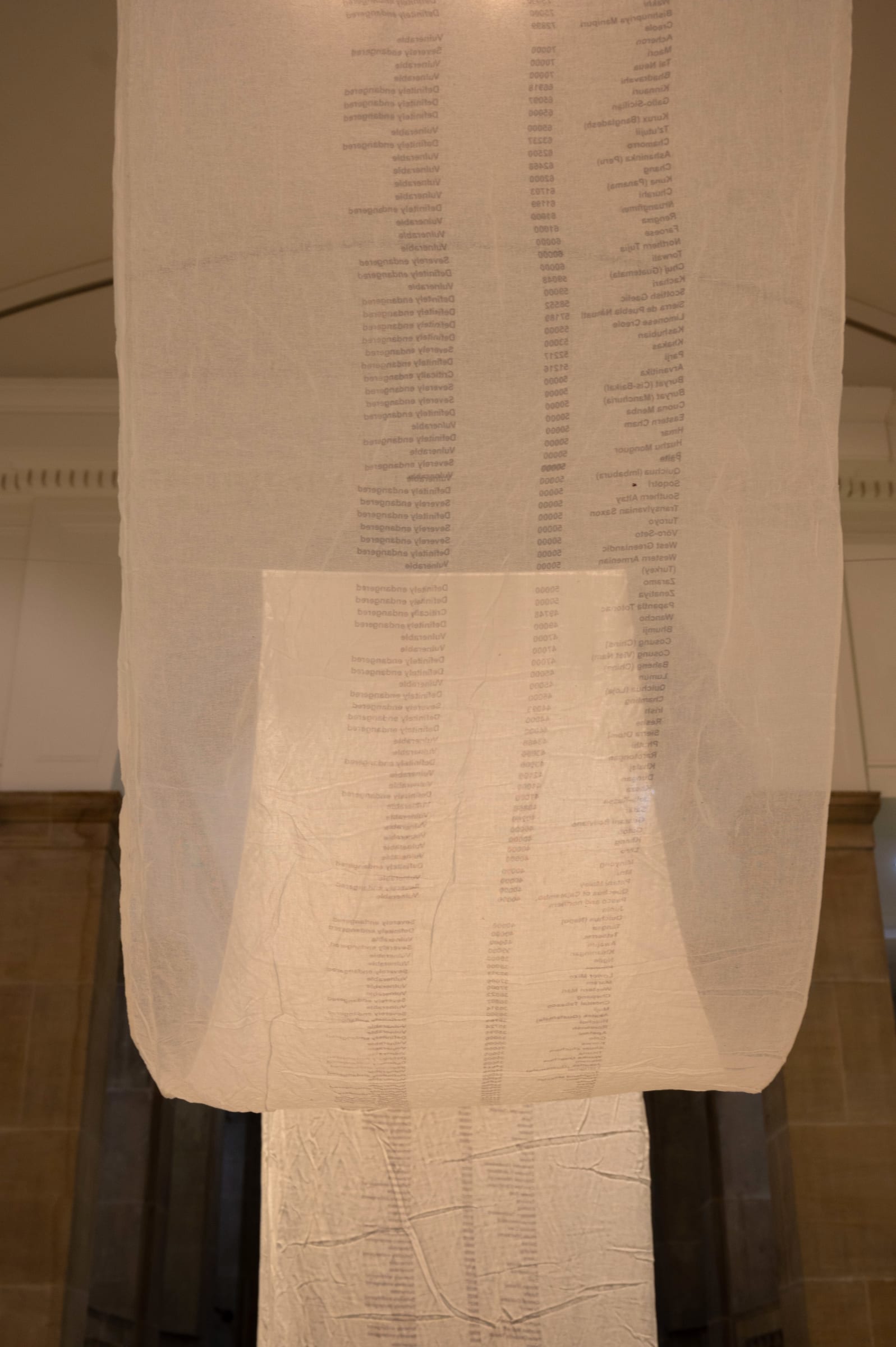 Tracey Exton-McShane, Save Me! - Scroll of Endangered Languages, 2023 ...