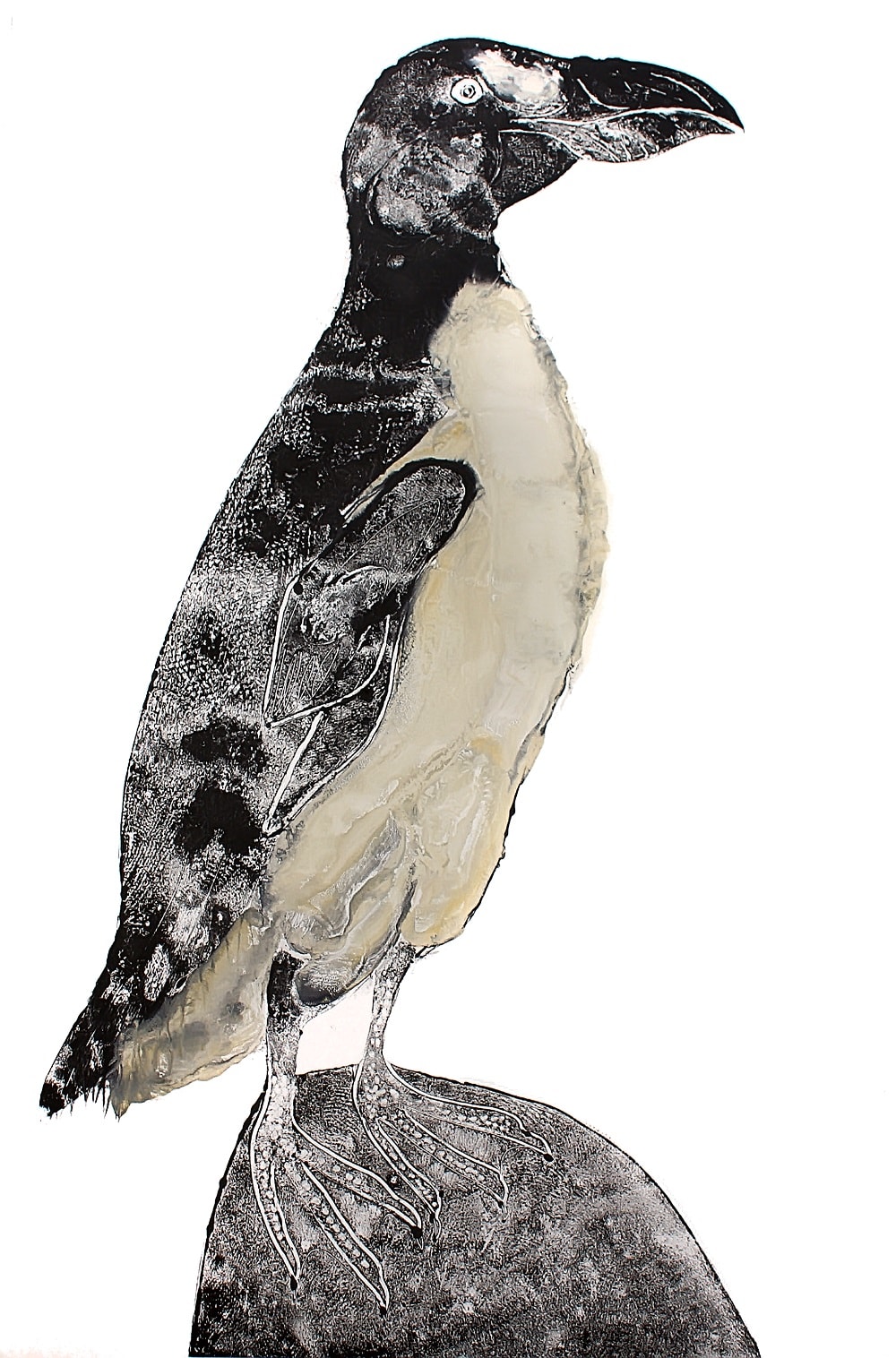 Stuart MacKenzie RSA, Great Auk | The Academicians' Gallery