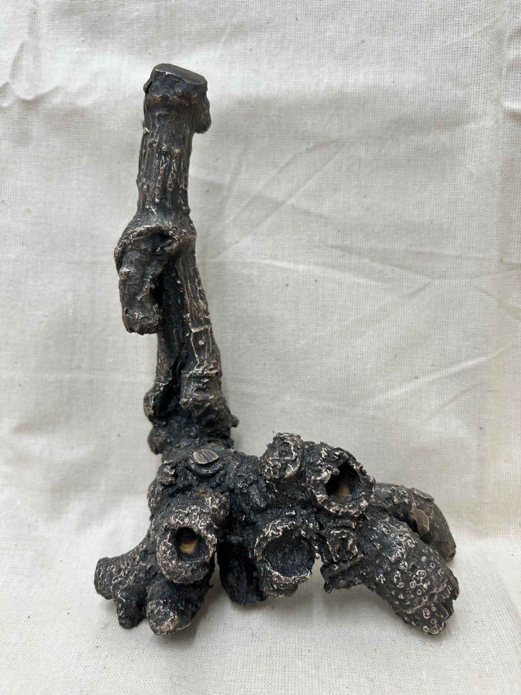 Eilidh Guthrie, Tree Root 2, 2022 | Royal Scottish Academy