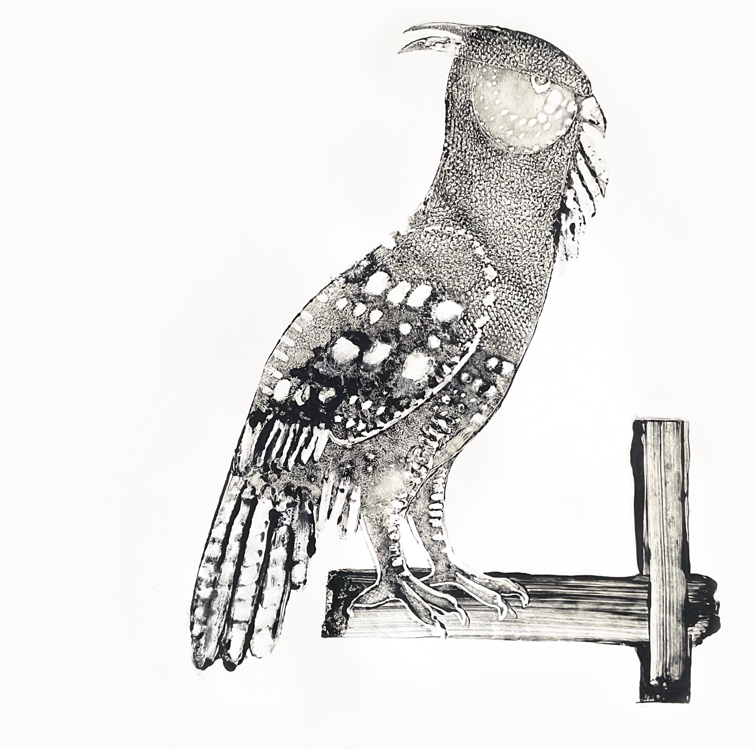 Stuart Mackenzie RSA, Species Morphology : Eagle Owl 2, 2020/25 | Royal ...