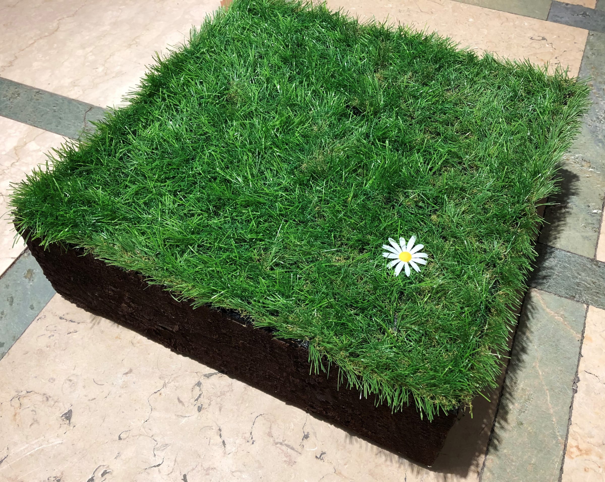 Iona Peterson, Achosnich/Field of Sighing Wind, 2023 | Royal Scottish ...