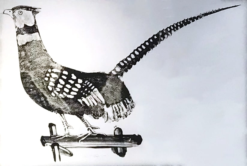 Stuart MacKenzie RSA, Pheasant I | Royal Scottish Academy