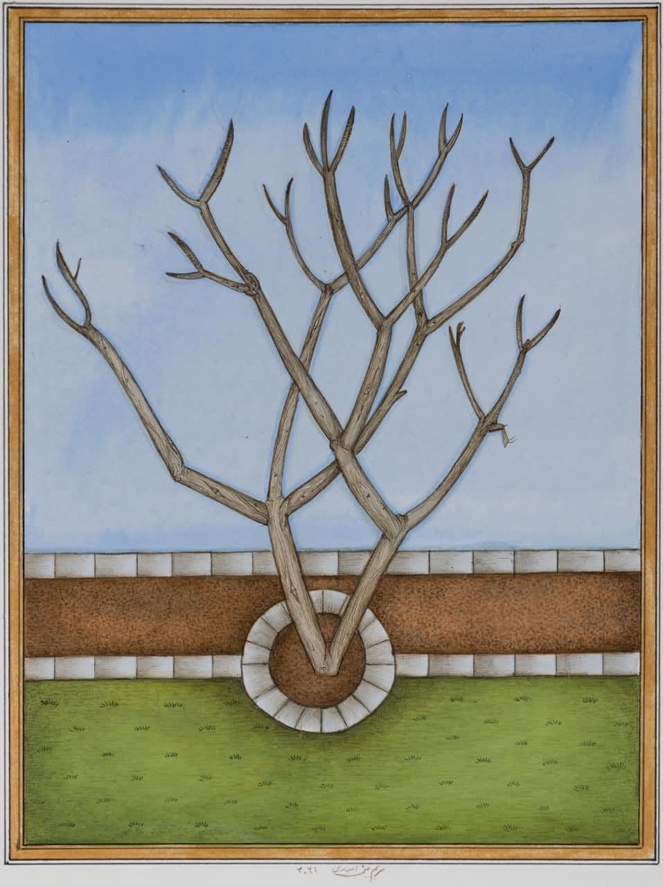 Maryam Baniasadi, Bare Gulcheen Tree, 2021 | SARAI Gallery