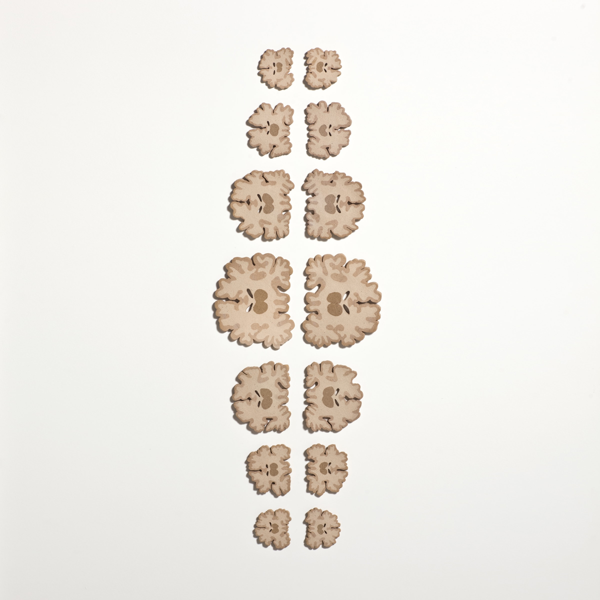 Angela Valamanesh, The Anatomy of Plants and Animals no. 2, 2013 ...