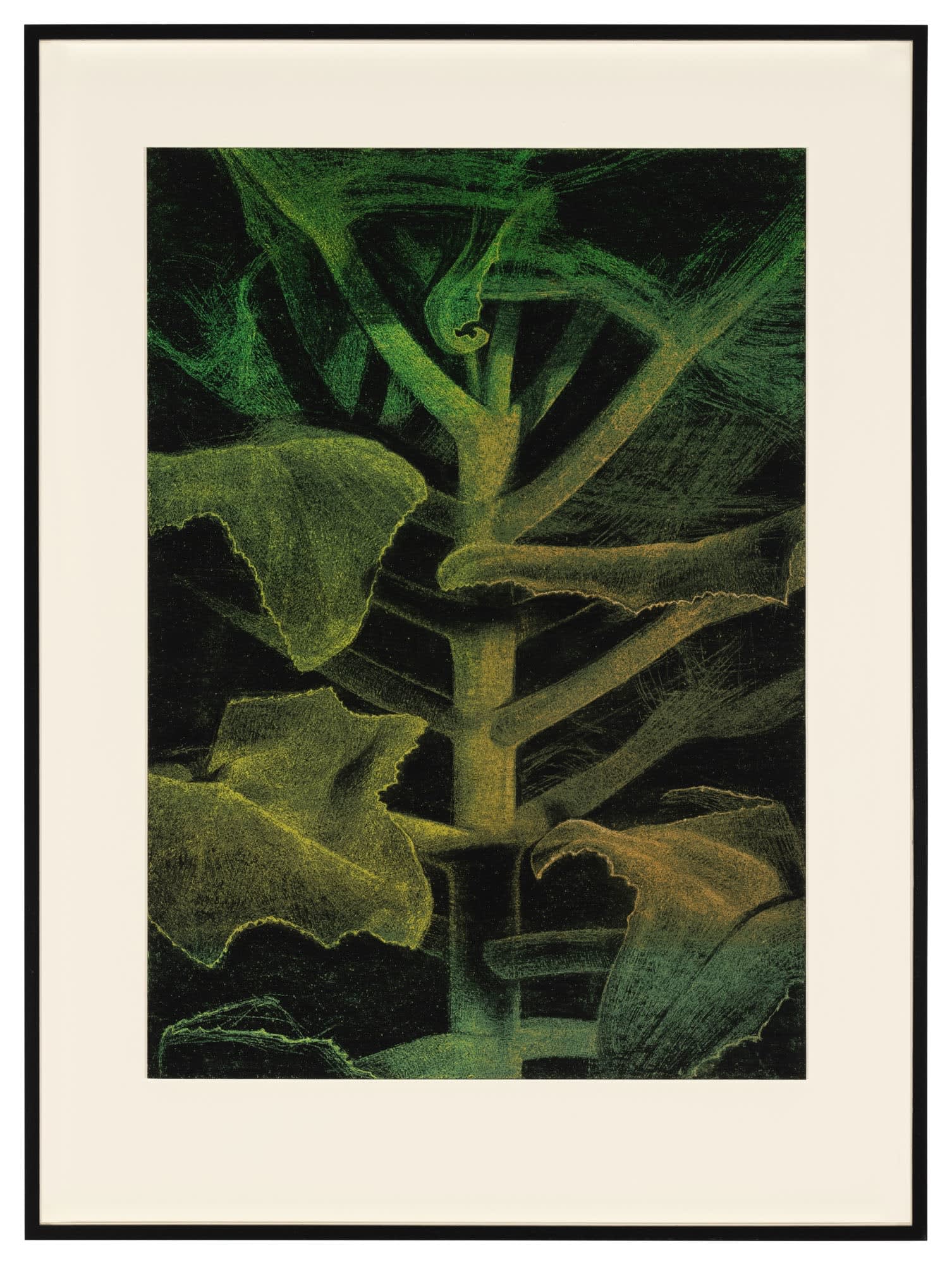 Renée Pevernagie, Spring, 2024 | THE WUNDERWALL