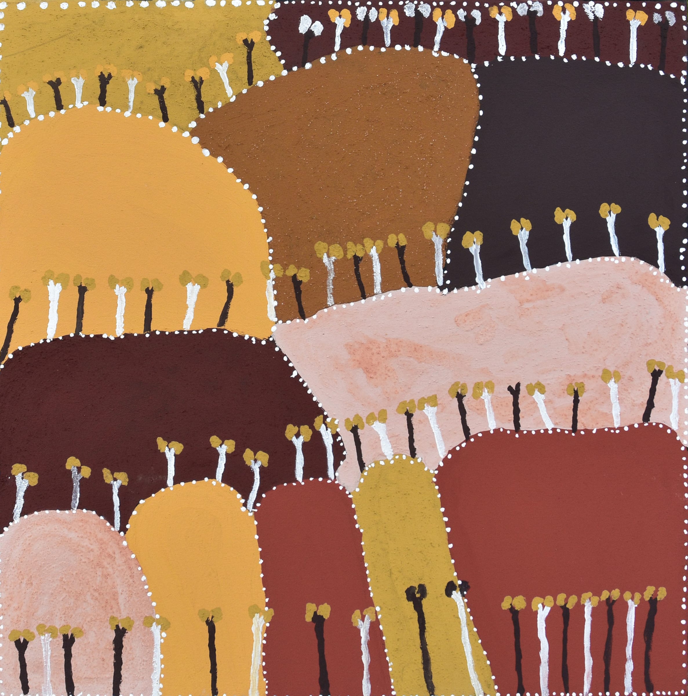 Patrick Mung Mung, Boornoolooloo (Purnululu), 2023 | Short St Gallery