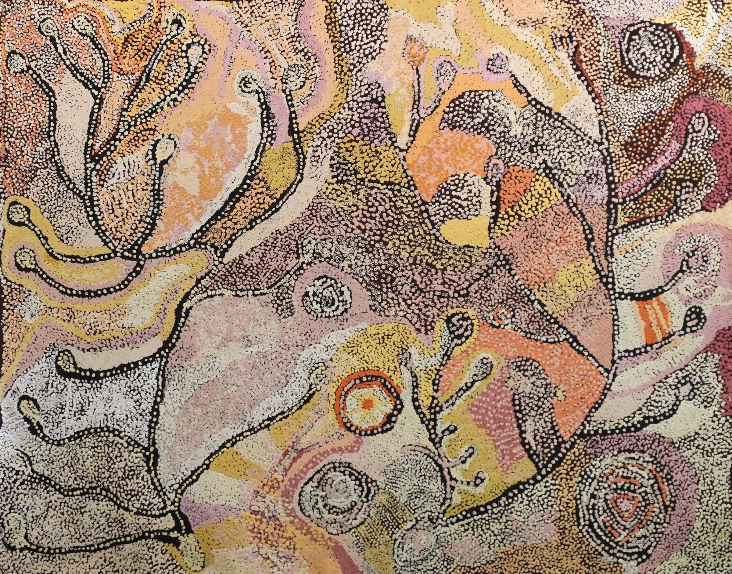 Nellie Coulthard, Tjuntala Ngurangka - Country with Wattle (Acacia ...