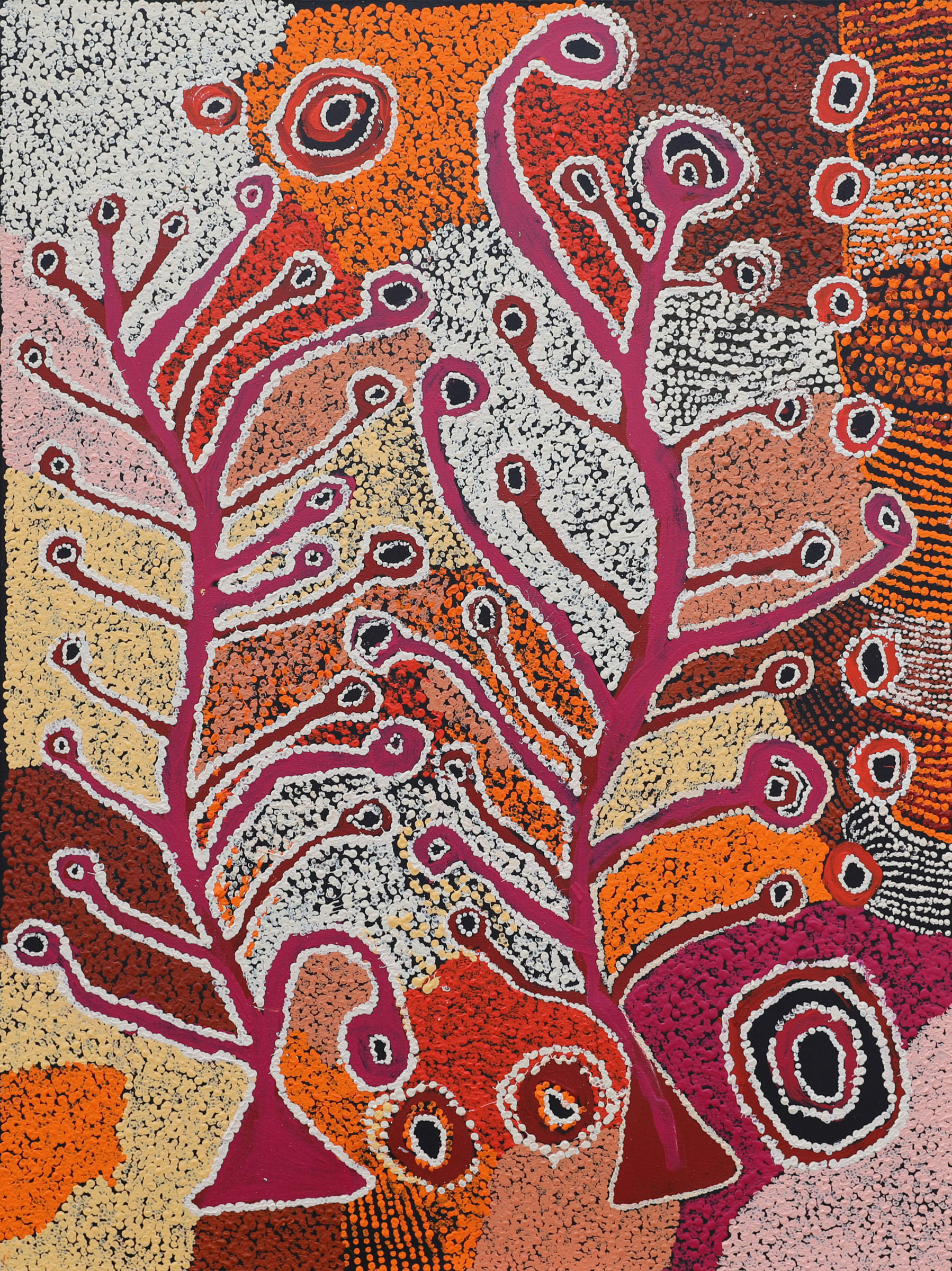 Betty King, Wantjapila (Dry Plain), 2022 | Short St Gallery