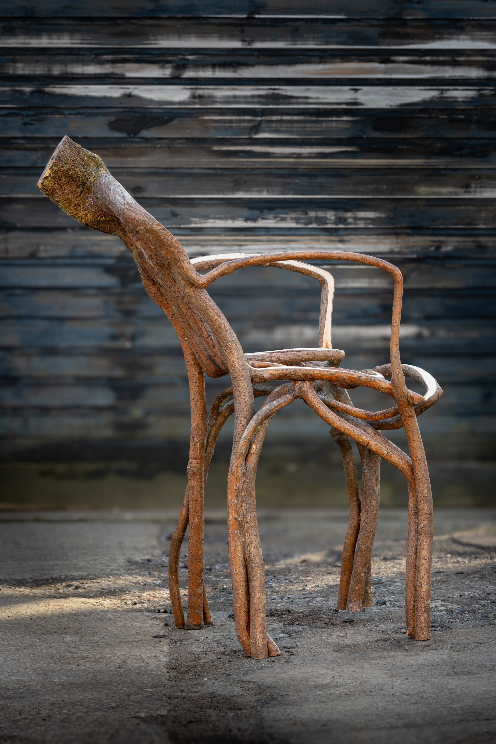 Full Grown, The Leslie Chair, 2025 | Sarah Myerscough Gallery