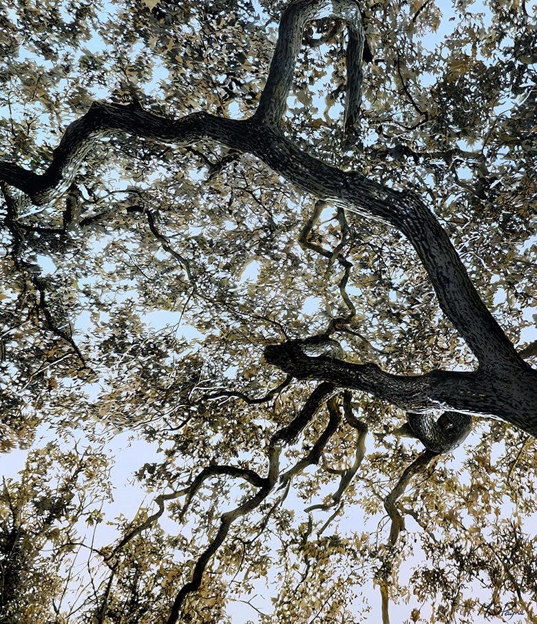 Mark Payne, Cool Shade, 2024 | Soden Collection