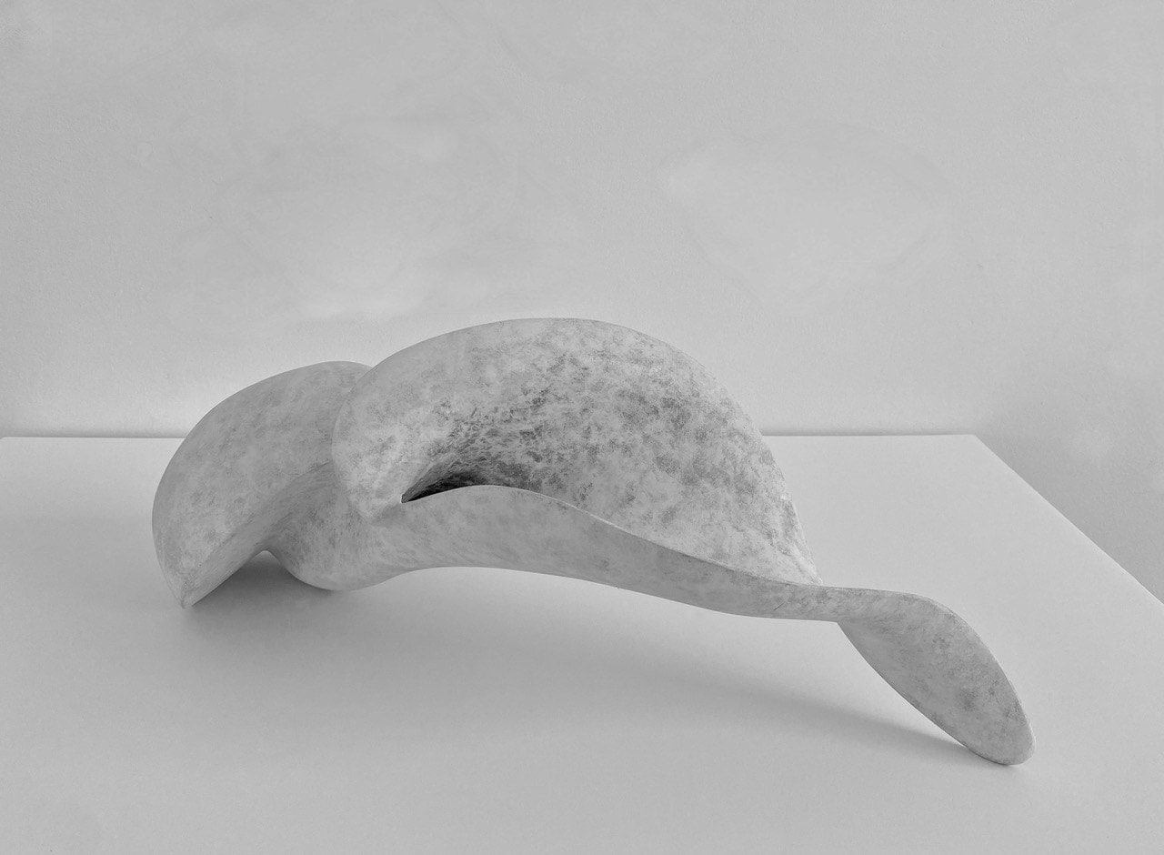 Eilis O'Connell RHA, Spathe, 2025 | Solomon Fine Art