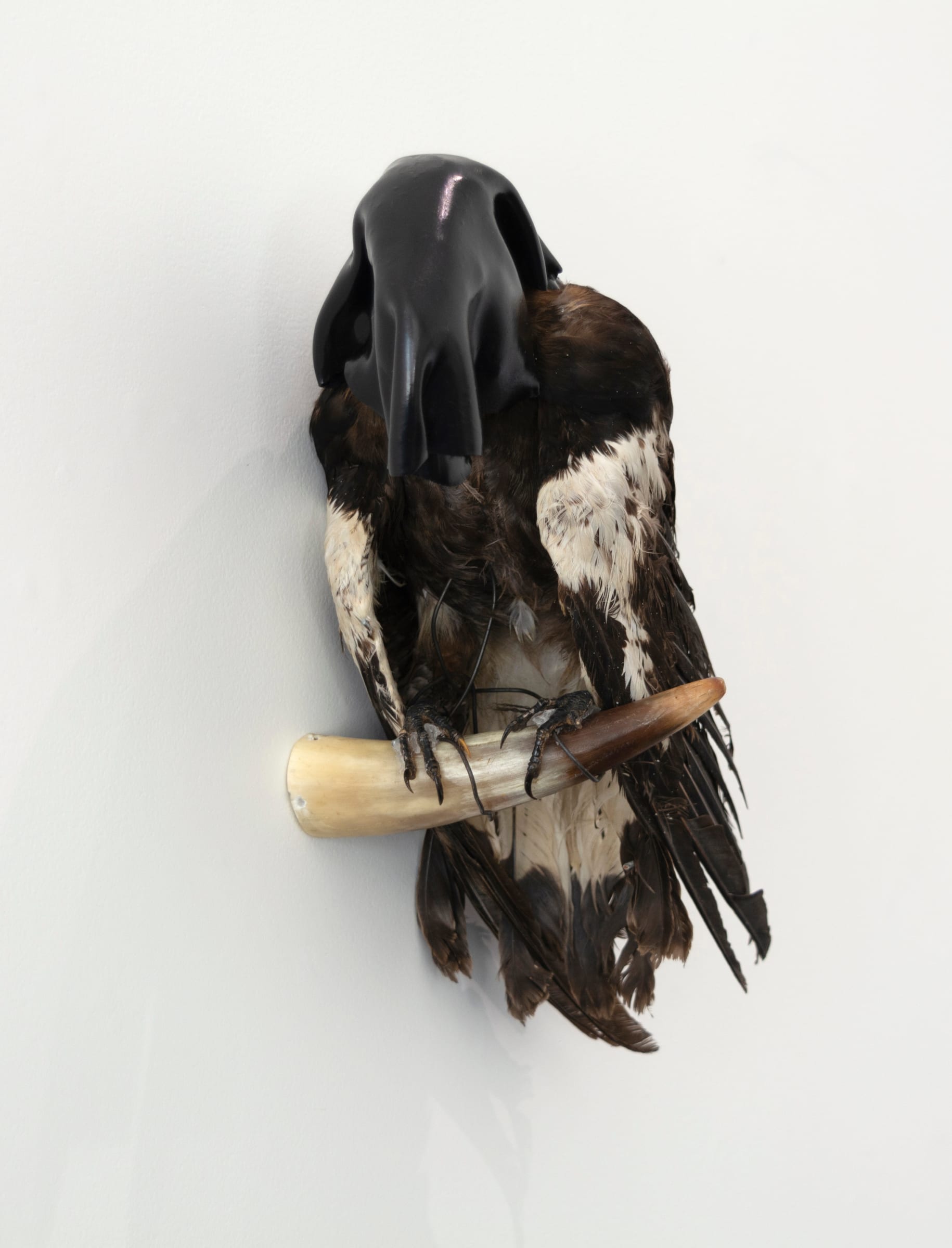 Angela Singer, Shadow of Comfort, 2024 | {Suite} Gallery