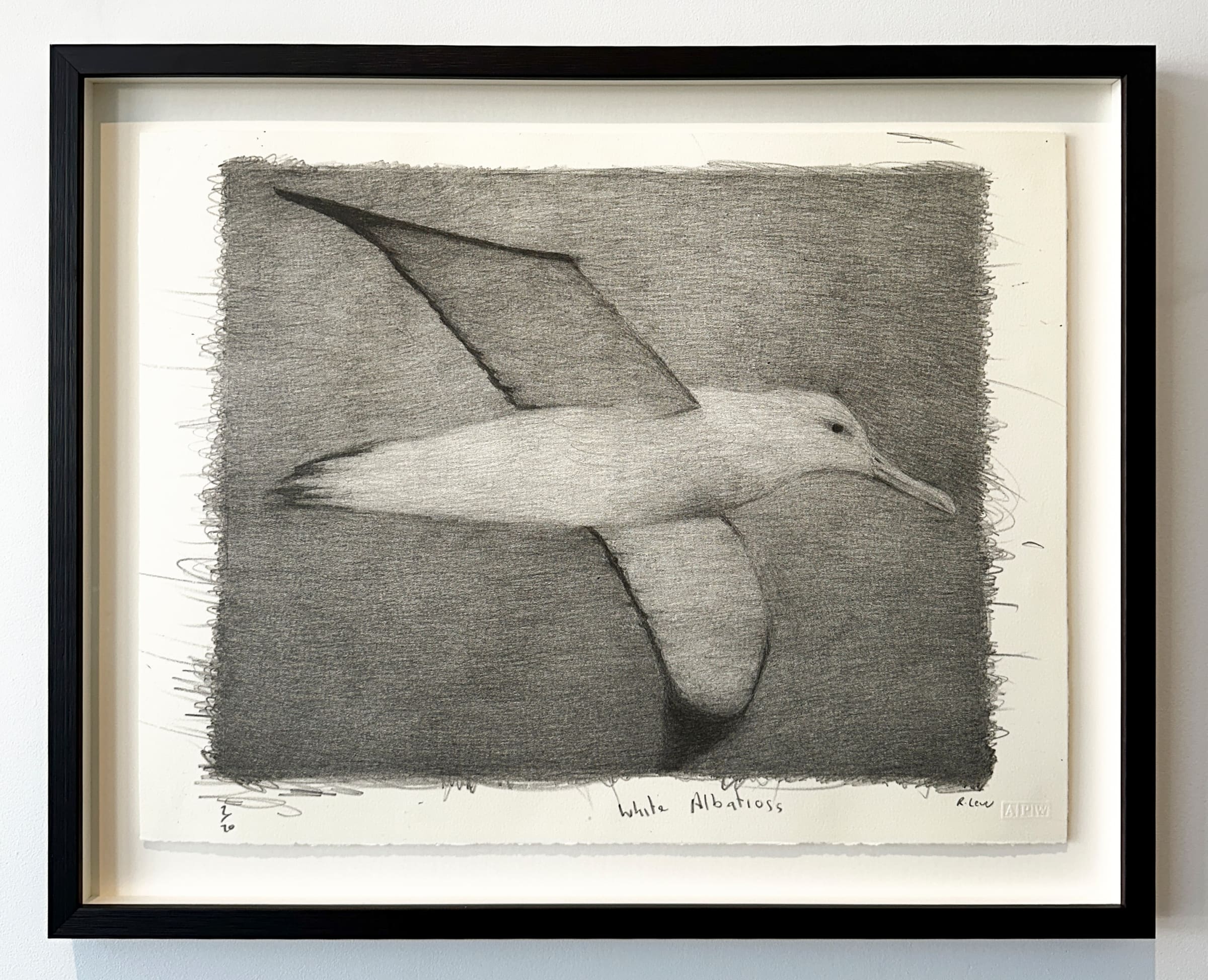 Richard Lewer, White Albatross, 2024 | {Suite} Gallery
