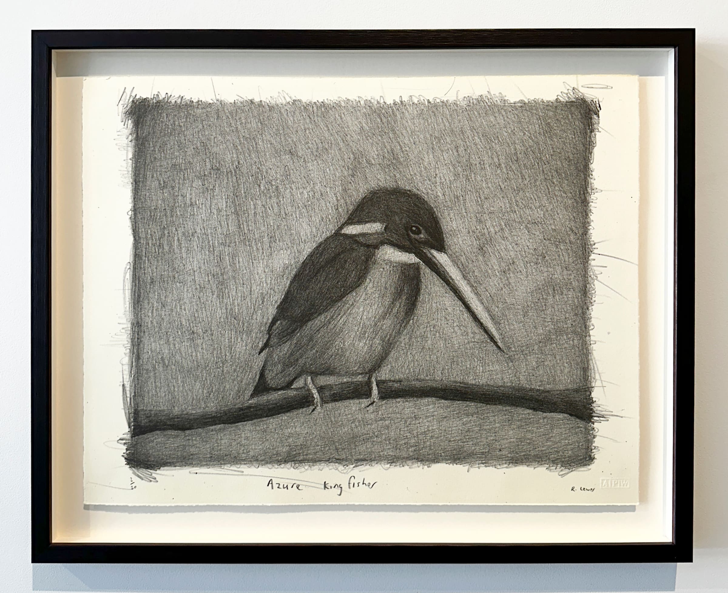 Richard Lewer, Azure Kingfisher, 2024 | {Suite} Gallery