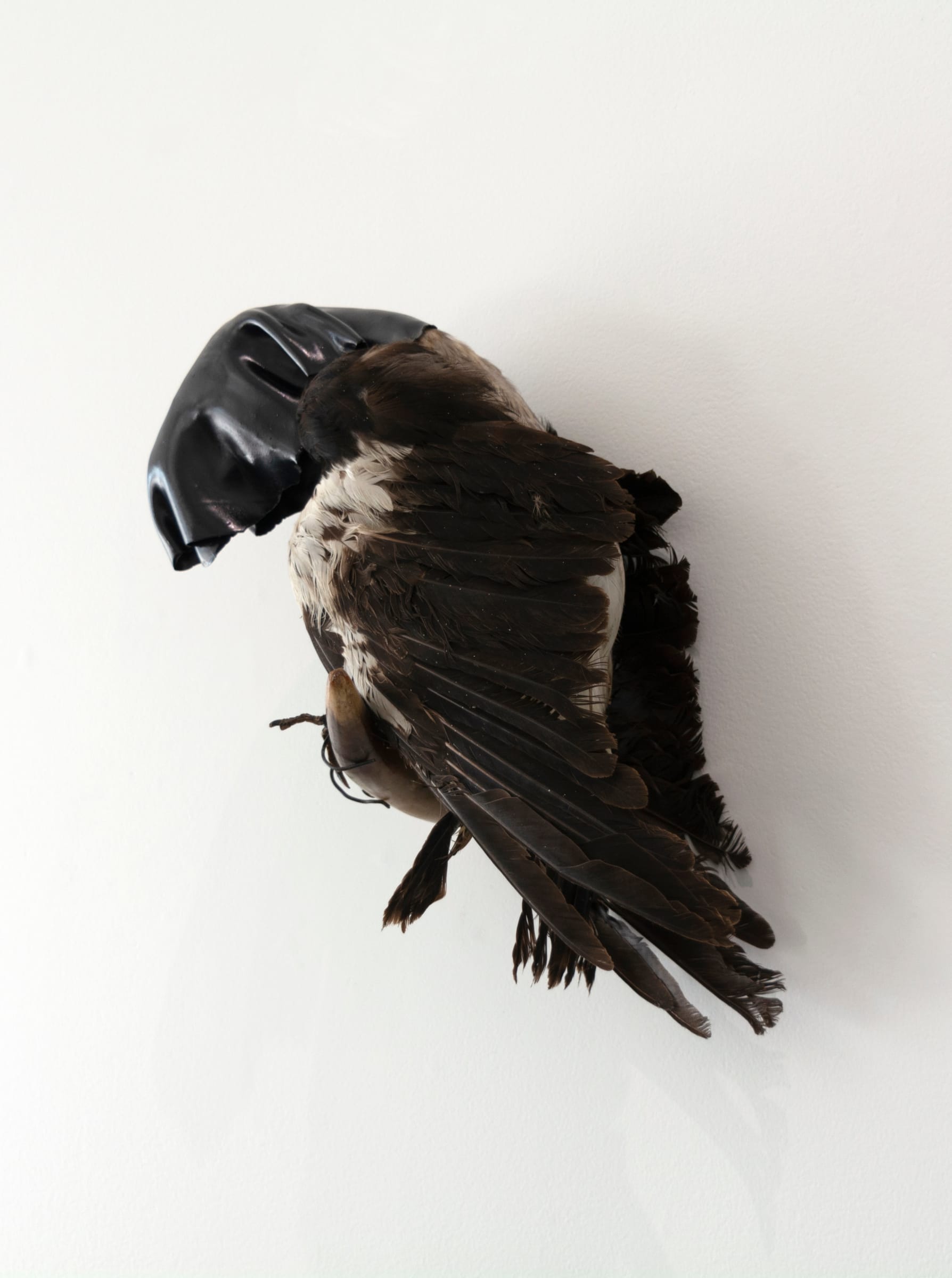 Angela Singer, Shadow of Comfort, 2024 | {Suite} Gallery