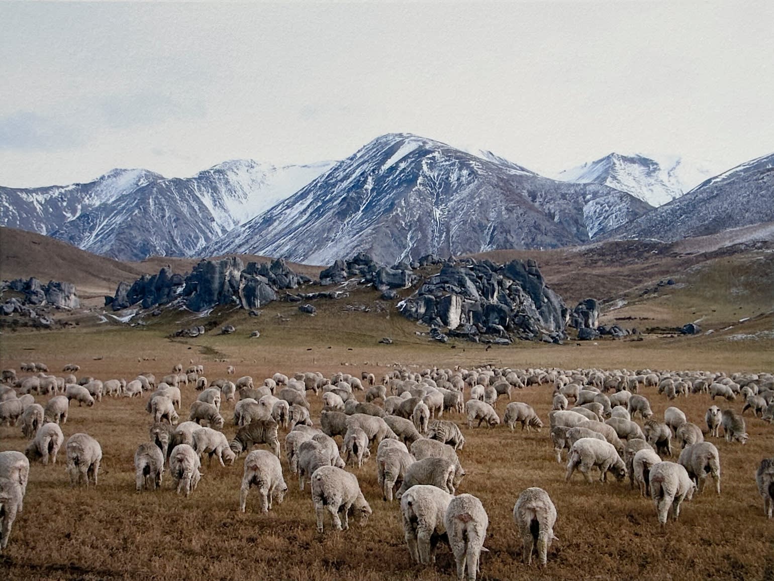 Peter Peryer, Canterbury Landscape, 2004 | {Suite} Gallery