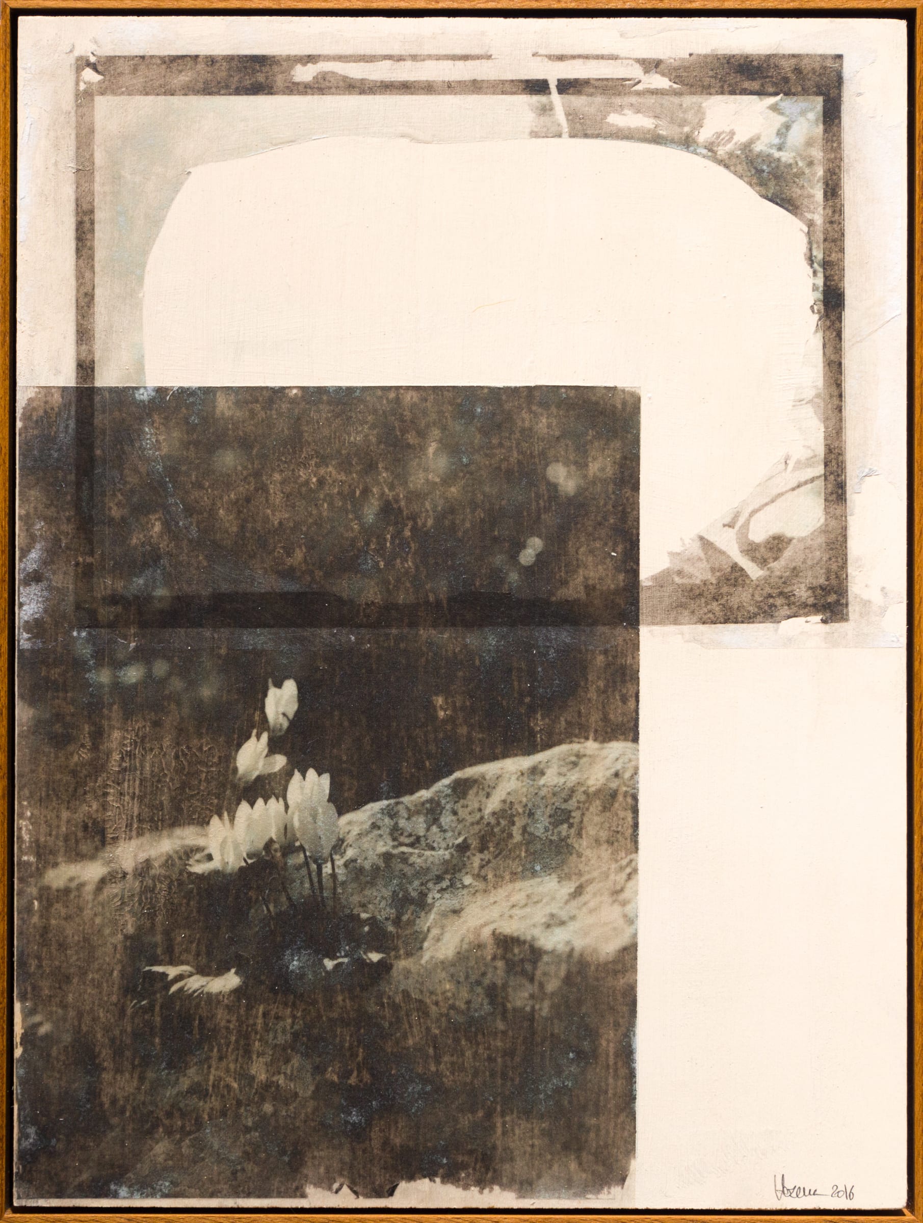Hazem Harb, Extinct Flowers, 2016 | Tabari Artspace