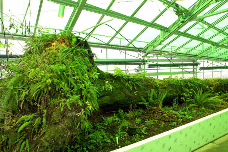 Mark Dion, Neukom Vivarium, 2006 | Tanya Bonakdar Gallery