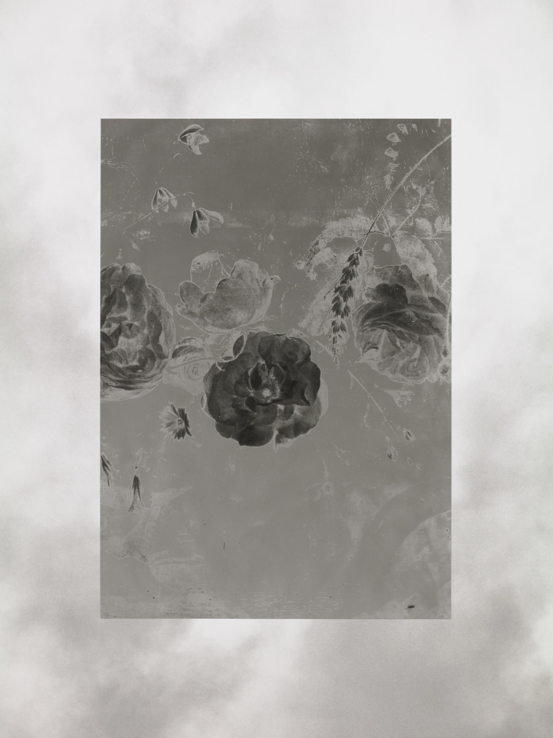 Lisa Oppenheim, Miroir entouré d’oiseaux, 1943/2022, 2022 | Tanya ...