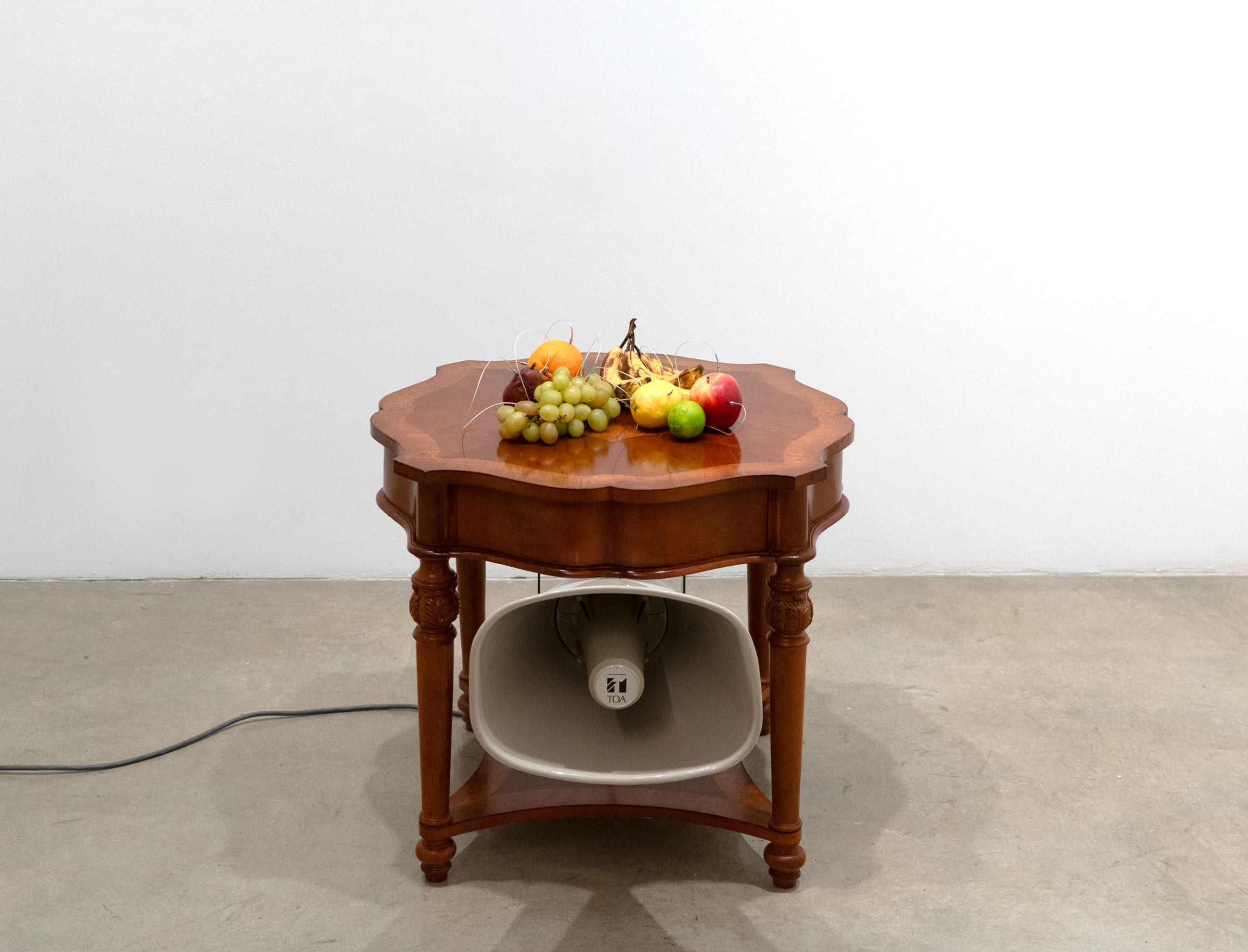 Yuko Mohri, Decomposition, 2024 | Tanya Bonakdar Gallery