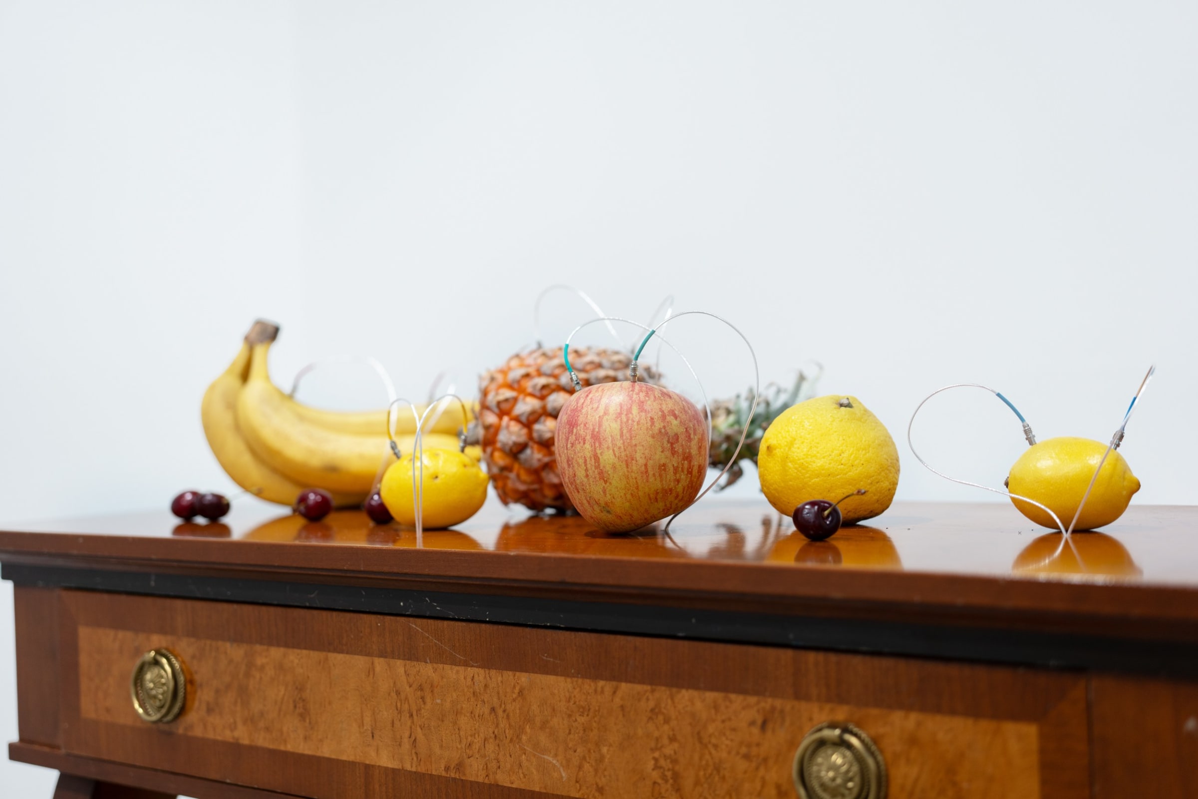 Yuko Mohri, Decomposition, 2024 | Tanya Bonakdar Gallery