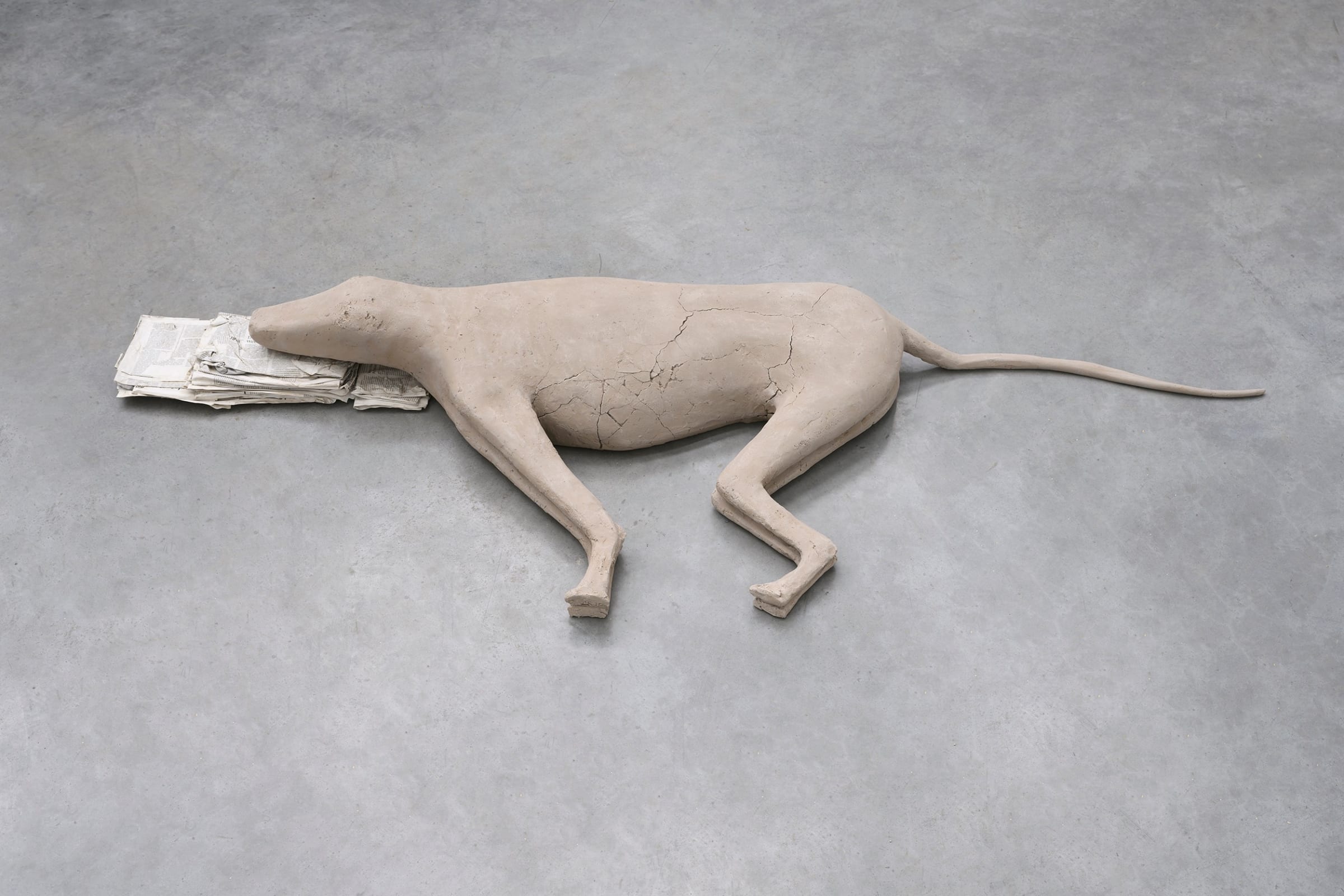 Mark Manders, Dog with All Existing Words, 2022 | Tanya Bonakdar Gallery