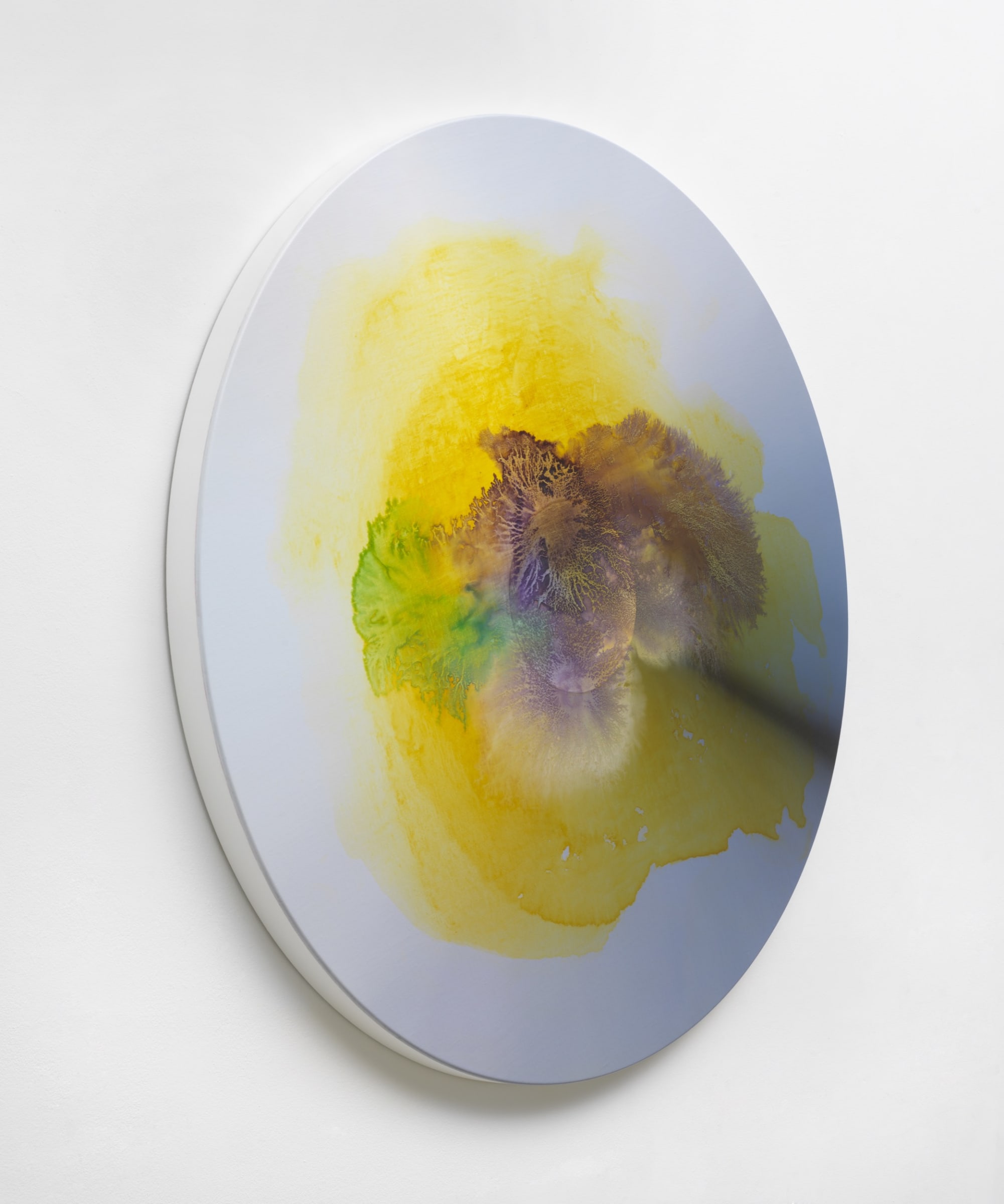 Olafur Eliasson, Colour experiment no. 106, 2020 | Tanya Bonakdar Gallery