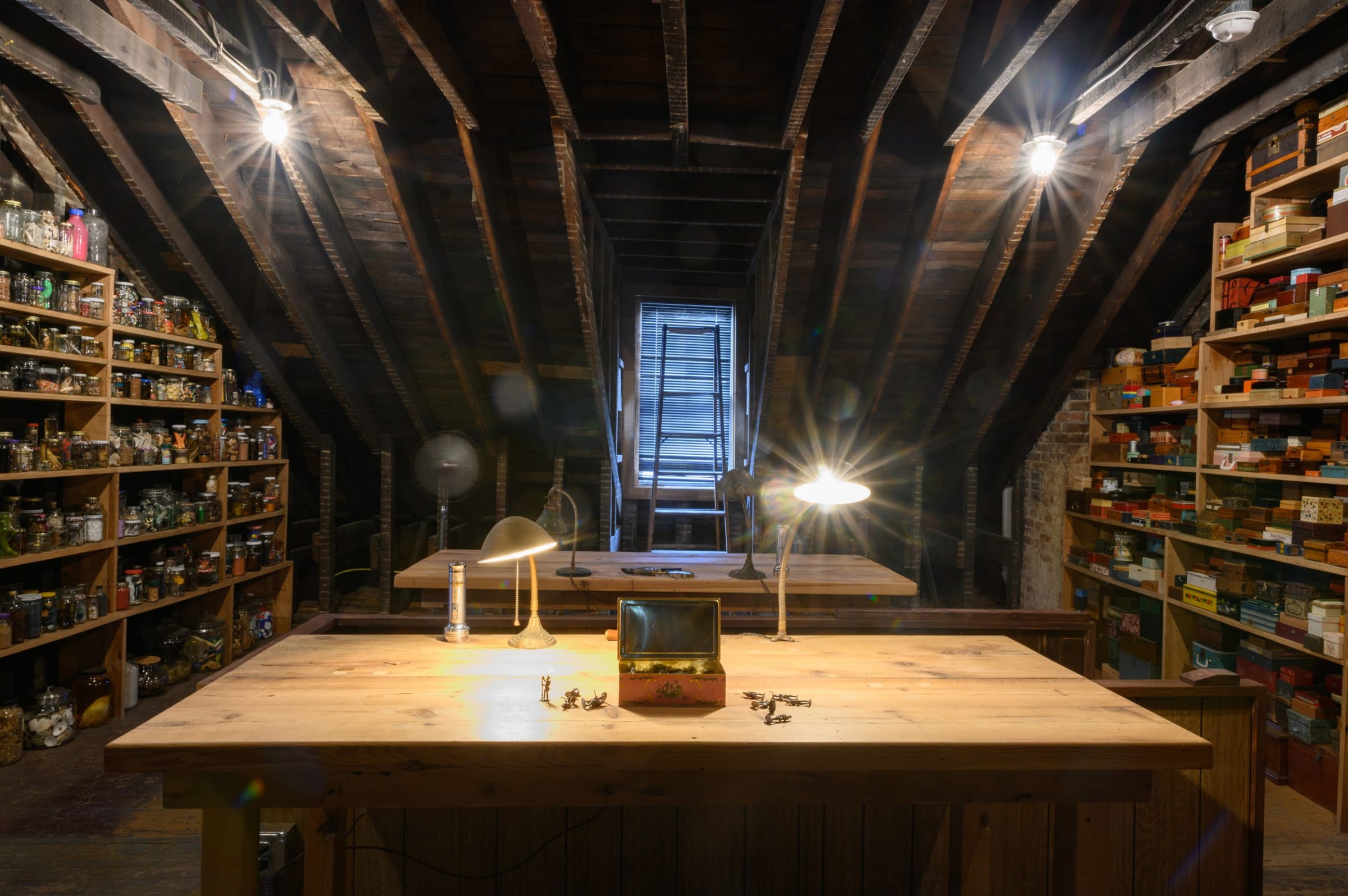 Mark Dion, Mrs. Christopher's House , 2024 | Tanya Bonakdar Gallery