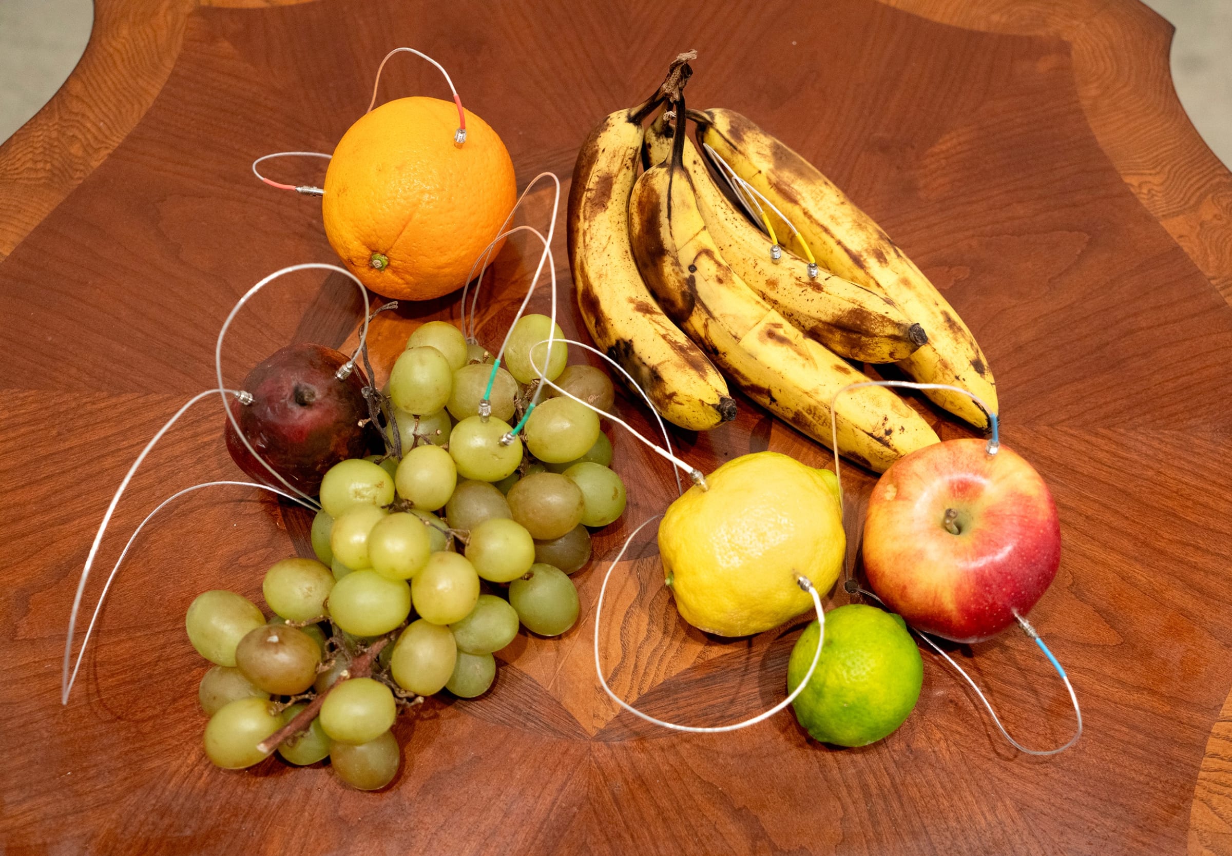 Yuko Mohri, Decomposition, 2024 | Tanya Bonakdar Gallery