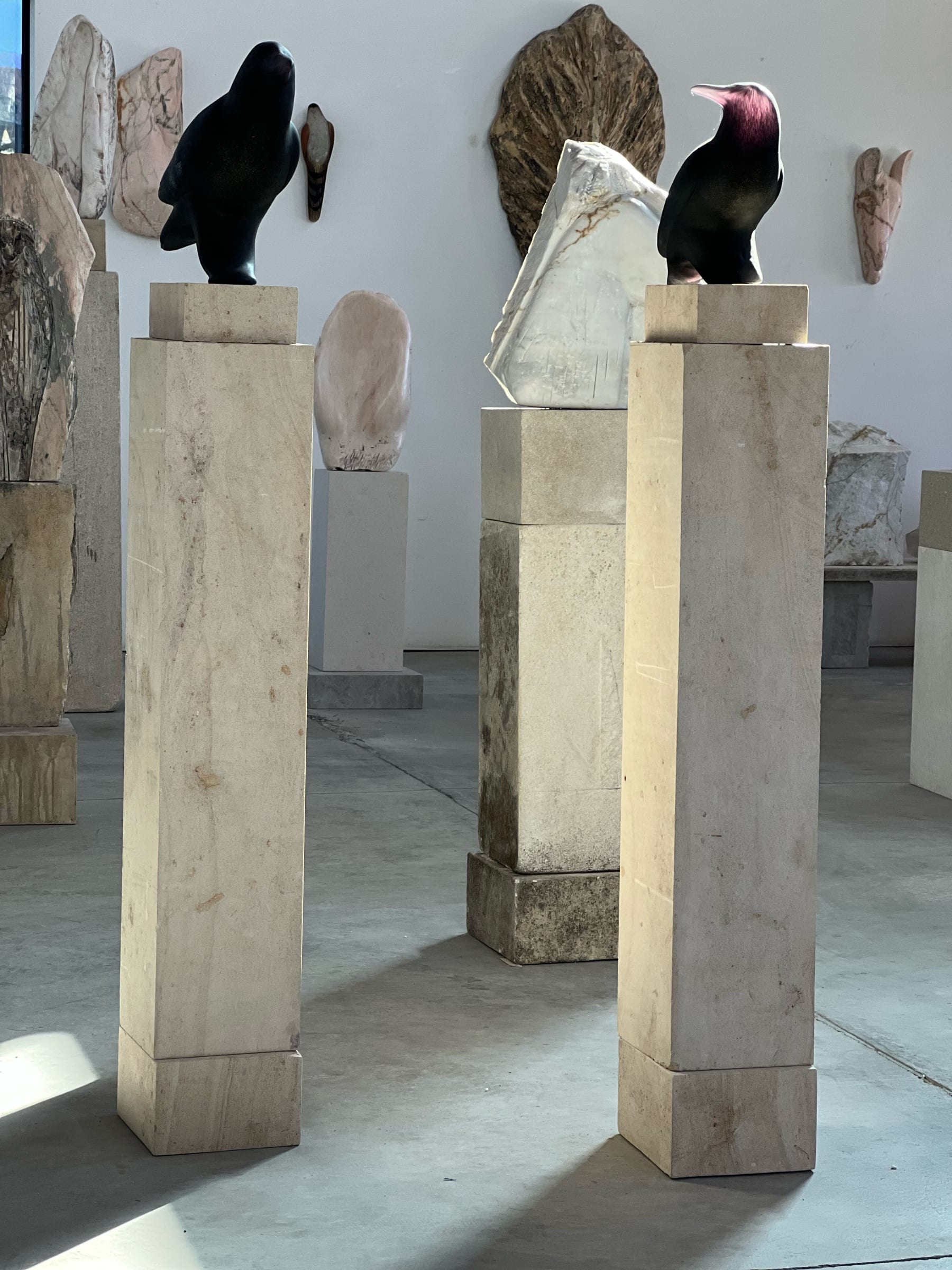 Jane Rosen, Turning Raven, 2023 | Maya Frodeman Gallery