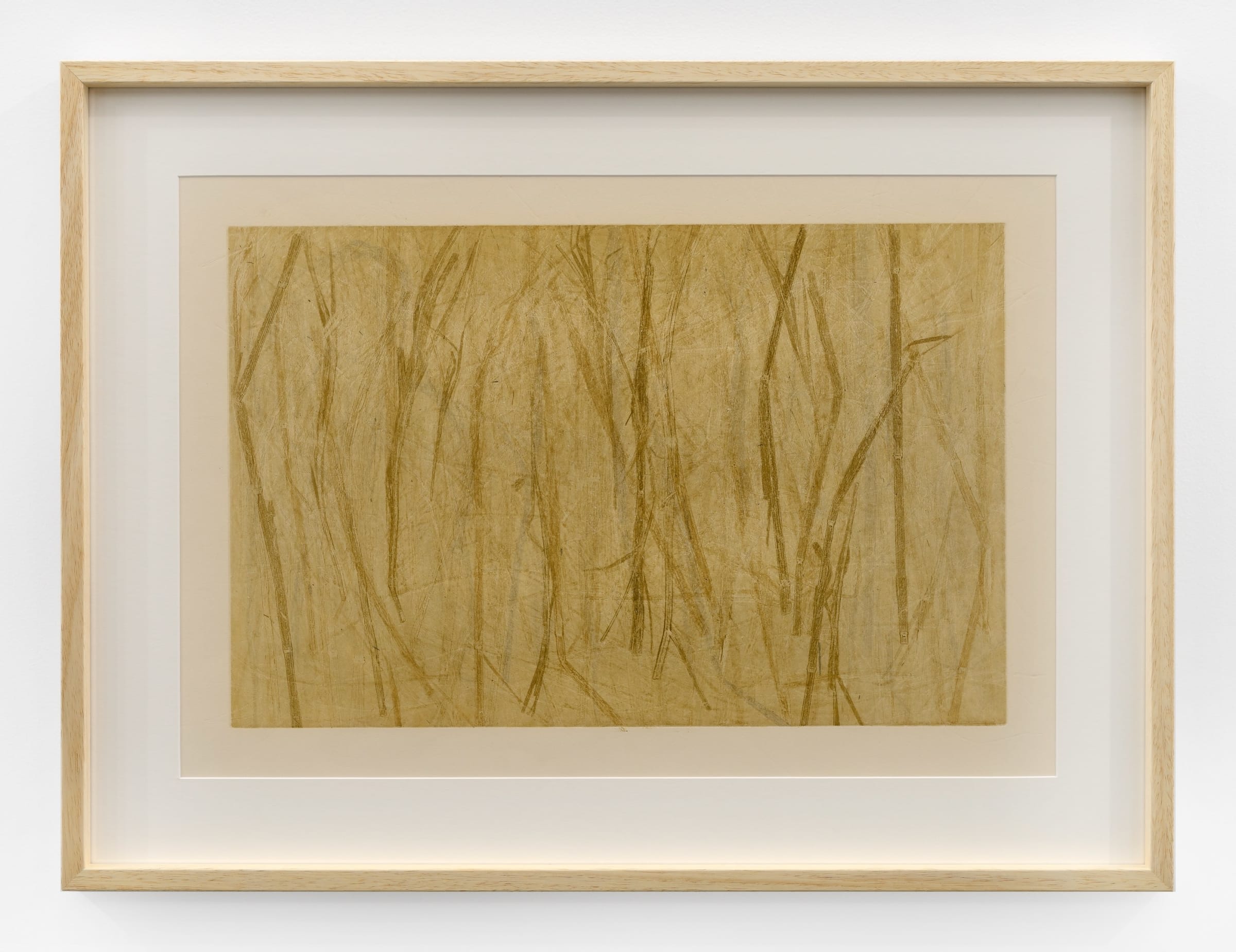 Green Creek | The Bonnier Gallery