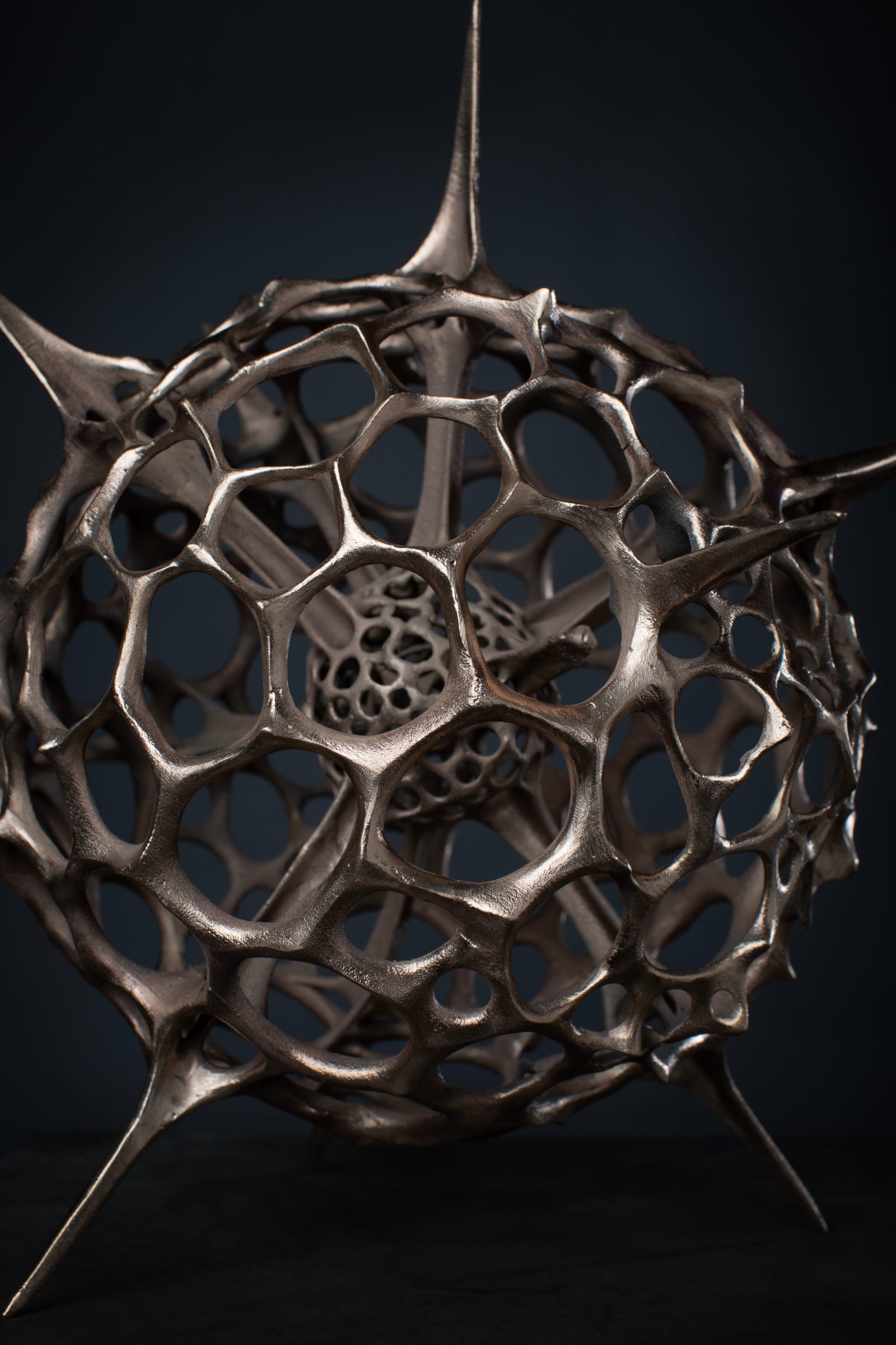 Vincent Mock, Radiolaria | The Drang Gallery