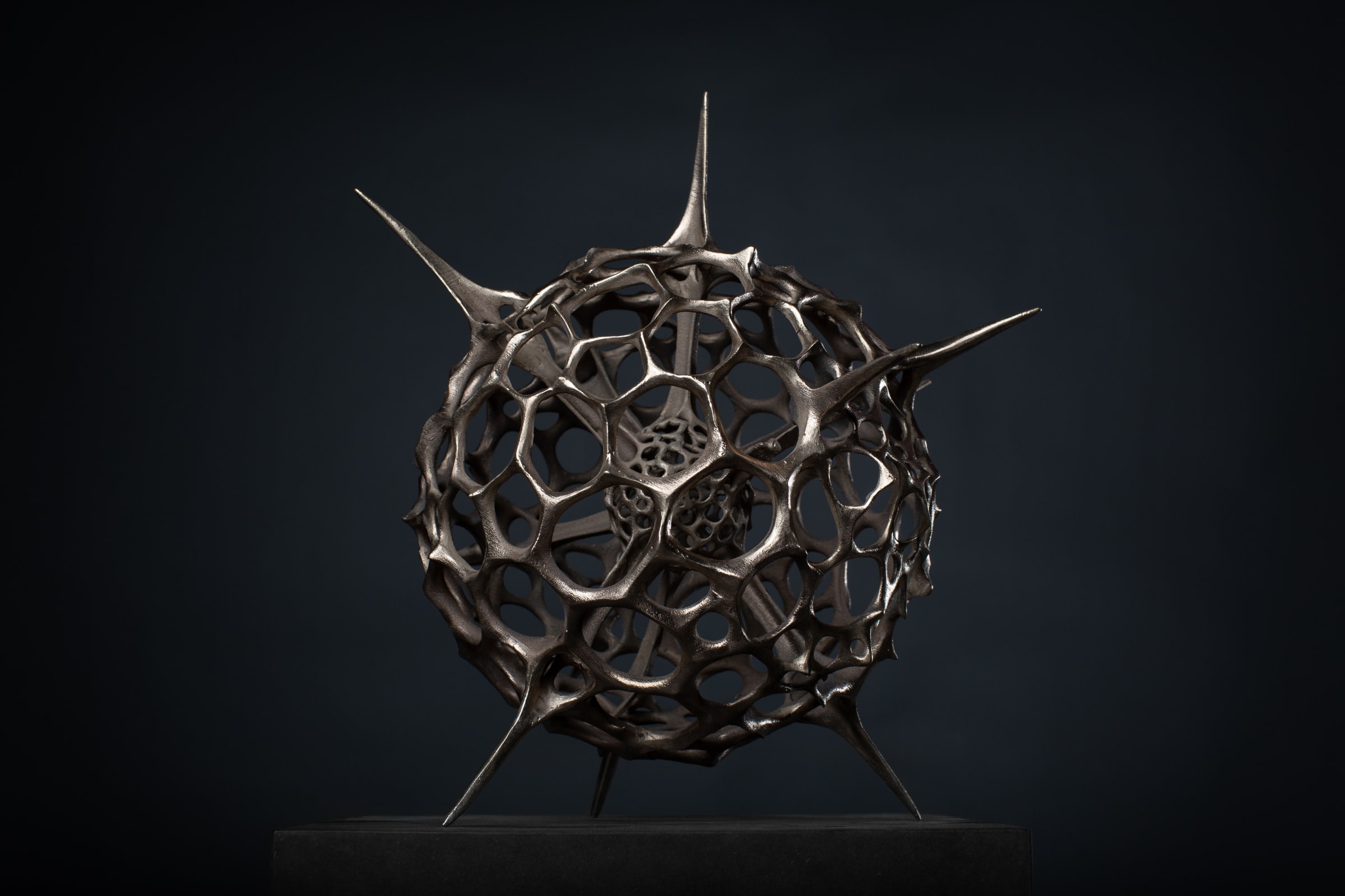Vincent Mock, Radiolaria | The Drang Gallery