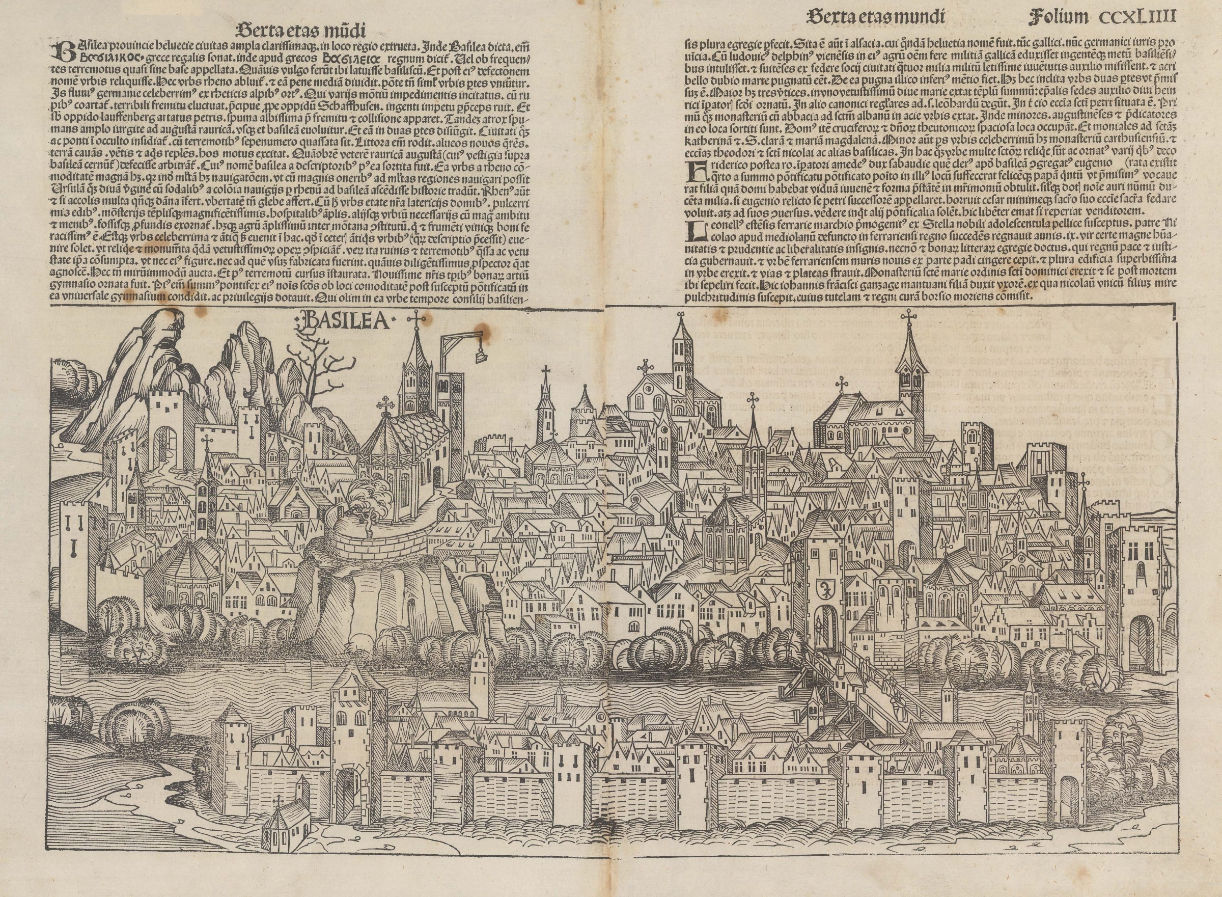 Hartmann Schedel, Early woodcut panorama of Basel, 1493 | The Map House