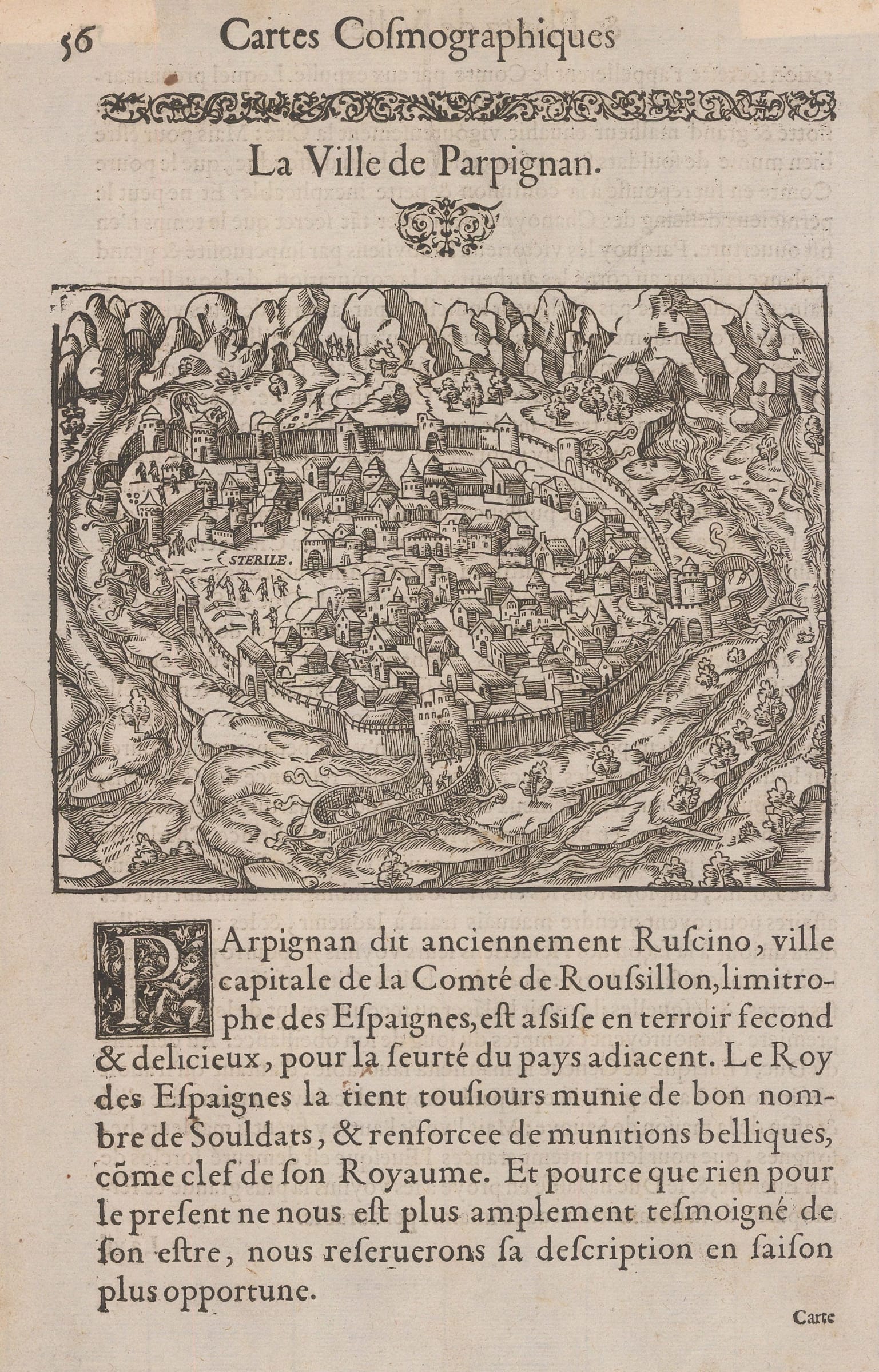 Antoine Du Pinet, Early woodcut of Perpignan, 1564 | The Map House