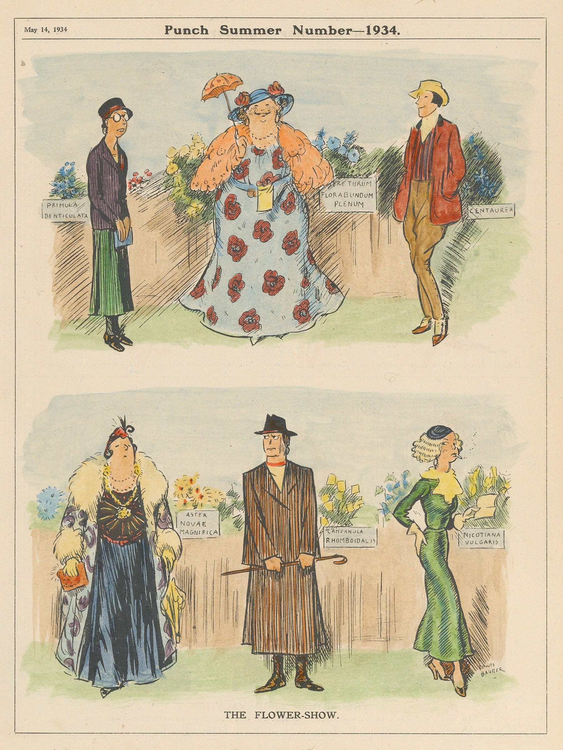 Punch, Cartoon - The Flower Show, 1934 | The Map House