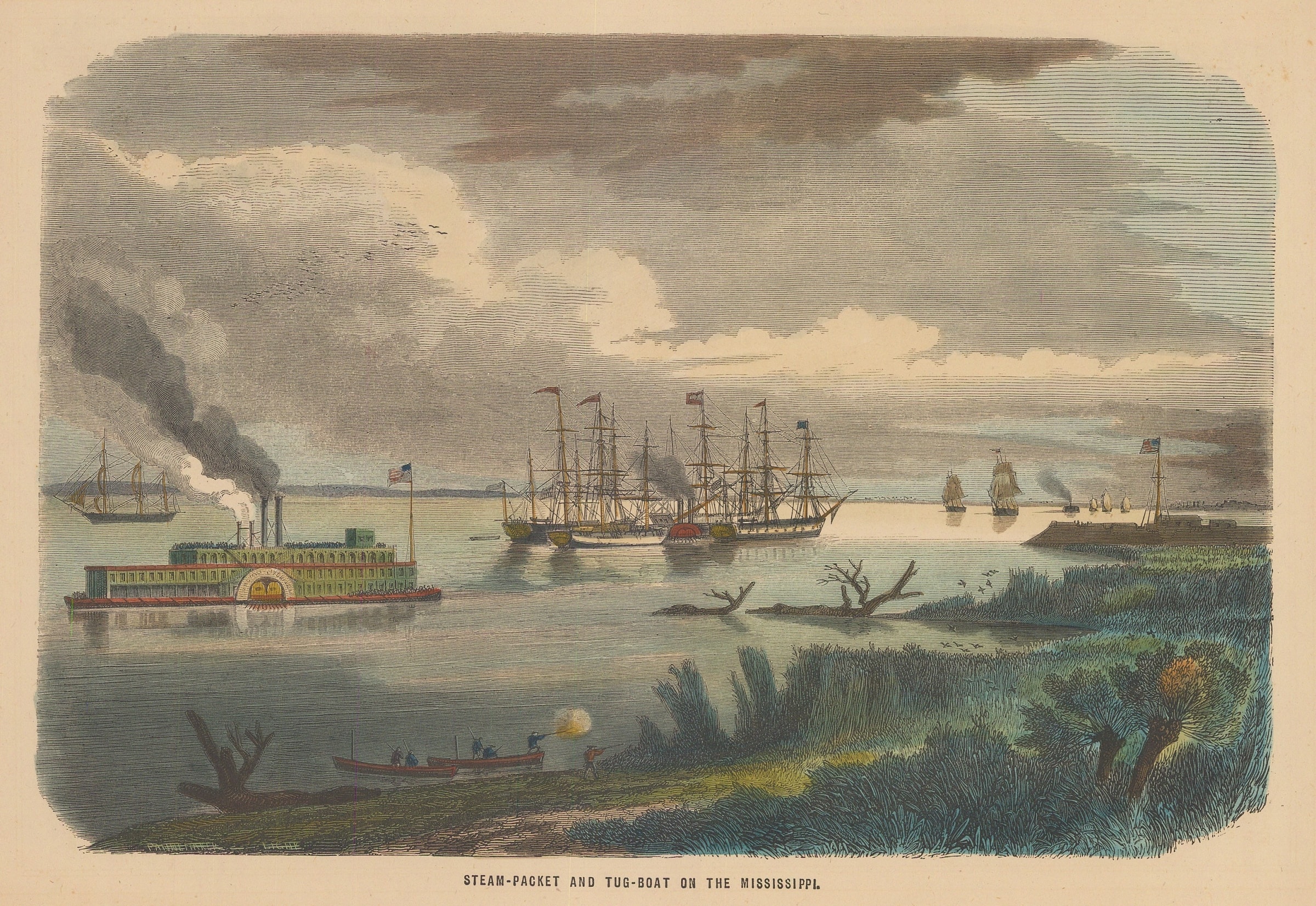William Collins, Mississippi - Mississippi River, 1870 c. | The Map House