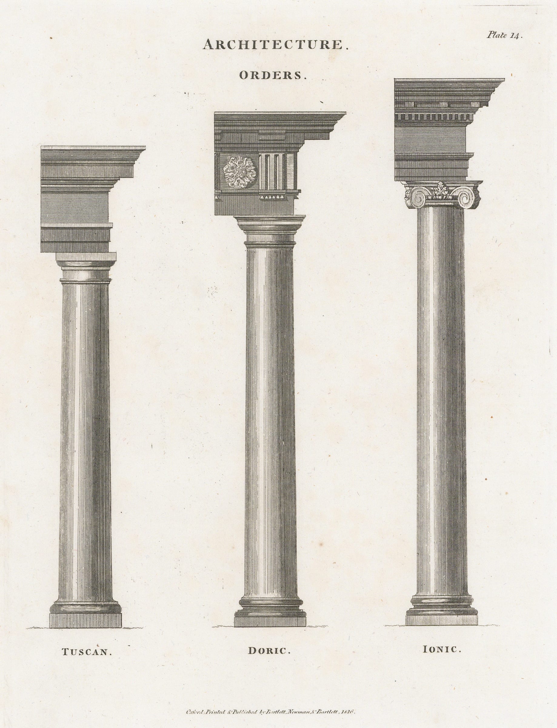 Order Ionic Vs Doric Order Capitals Of Classical Antiquity: Understand