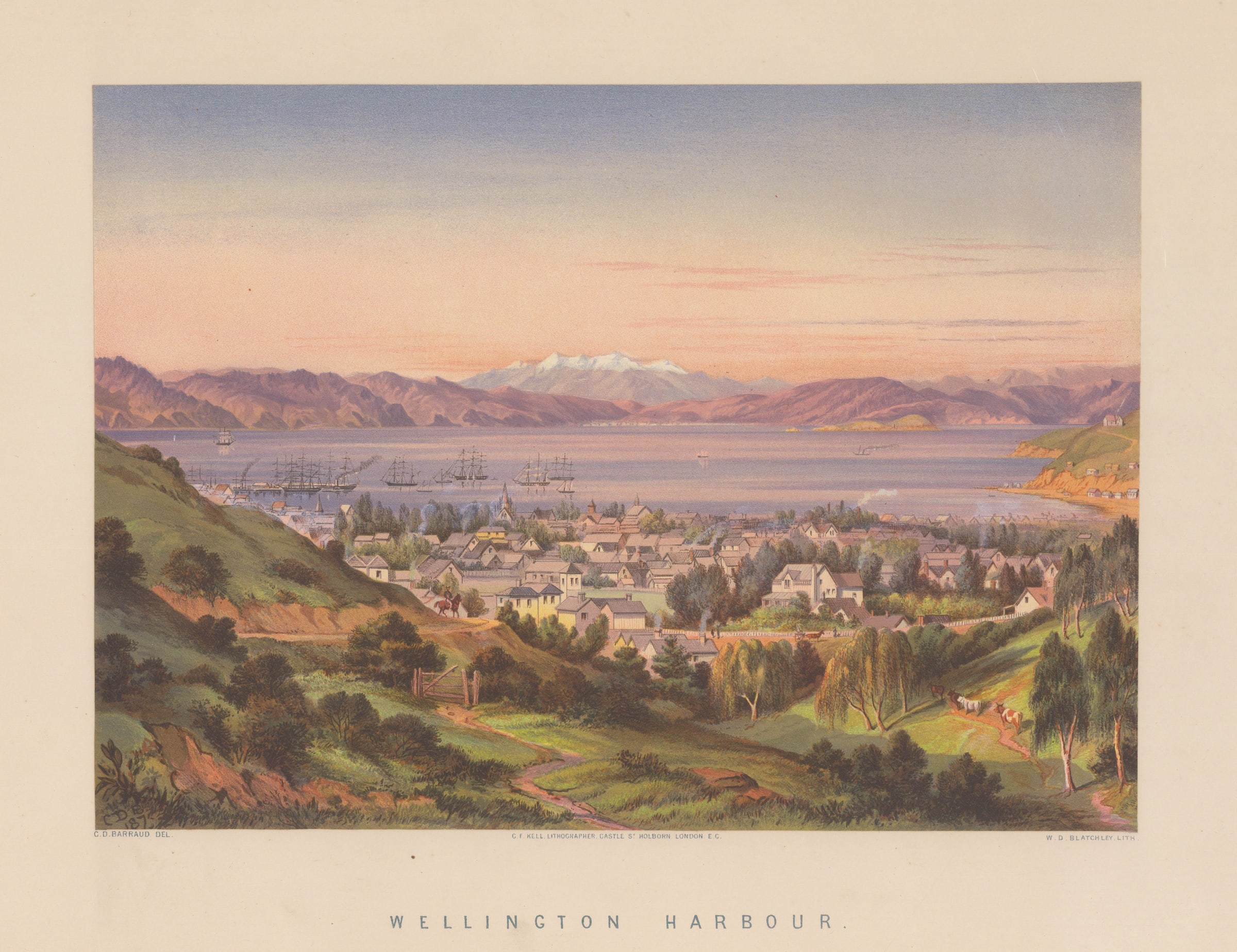 Charles Decimus Barraud, New Zealand - Wellington, 1877 | The Map House
