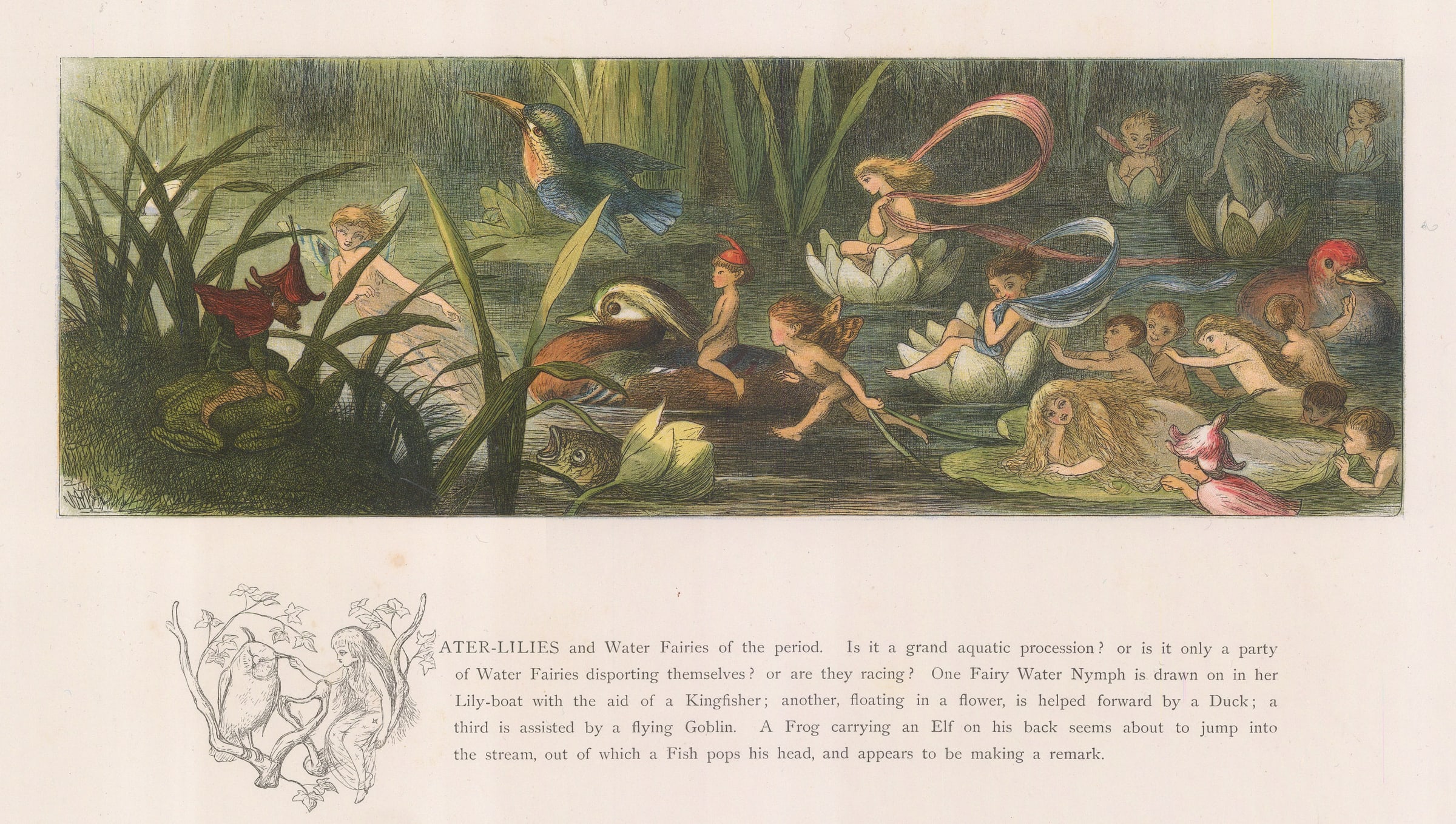 Richard Doyle, Fairy tales - Waterlilies and Water Fairies, 1870 | The ...