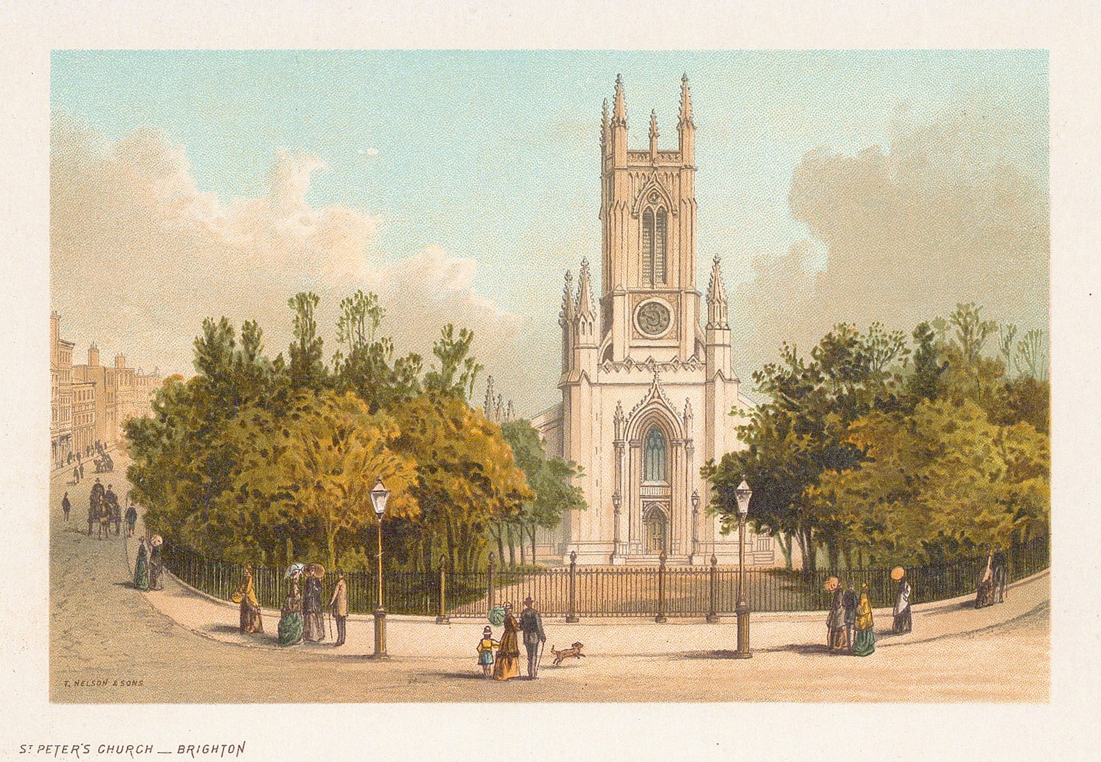 peter nelson brighton