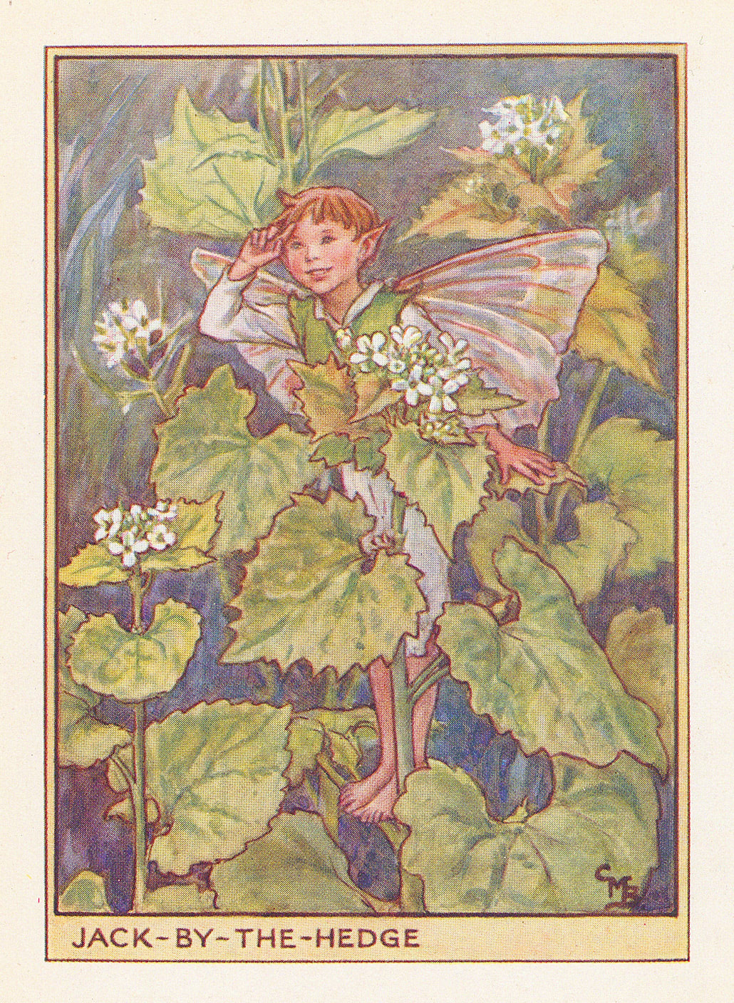 Cicely Mary Barker, Fairies - Jack-by-the-Hedge Fairy, 1948 | The Map House