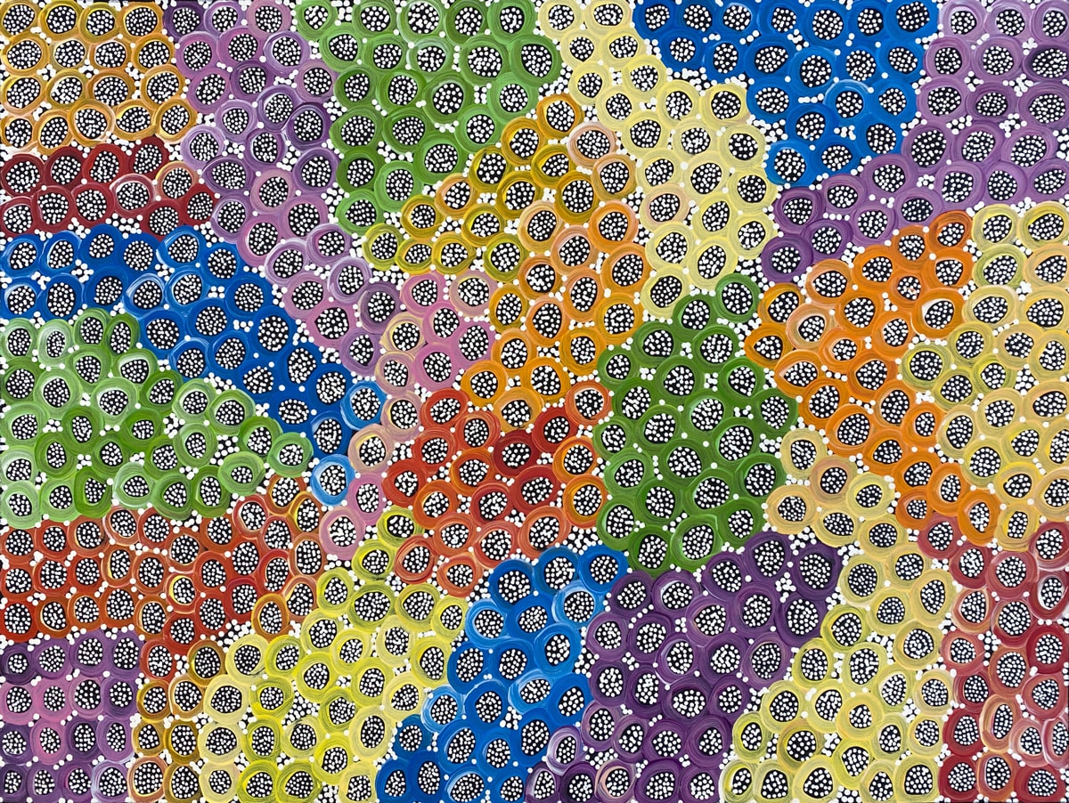 Janet Golder Kngwarreye | Bush Tomato Dreaming | This Is Aboriginal Art